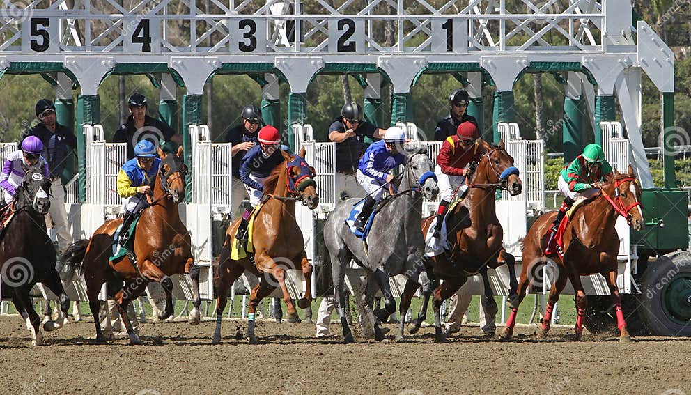 Gate Break editorial photography. Image of strength, fast - 23714752