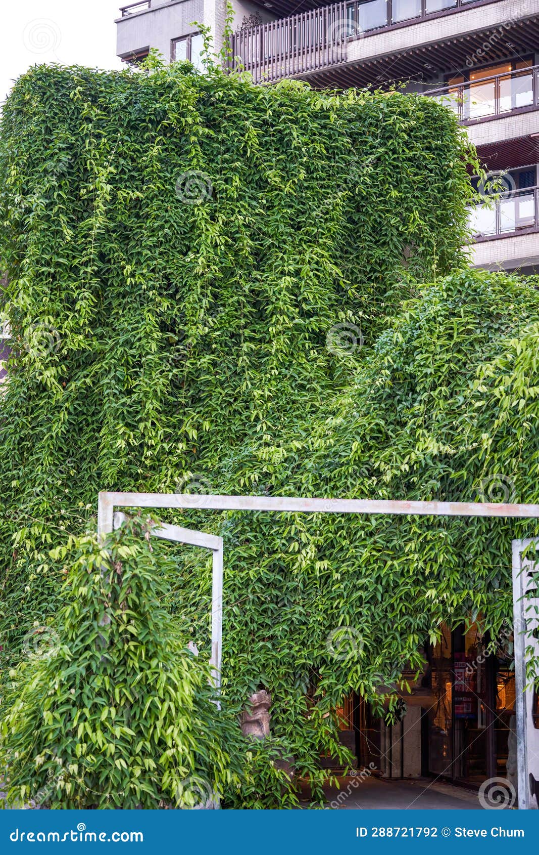 The Gate of a Building Overgrown with Ivy Stock Photo - Image of ...