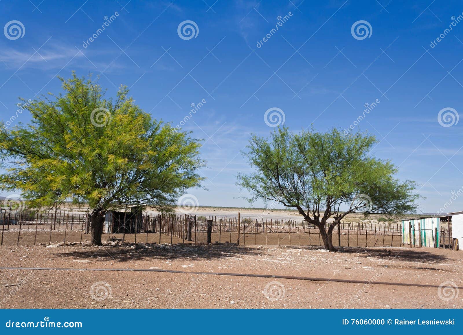 Gate on a Cattle Farm, Namibia Stock Photo - Image of east, safari ...
