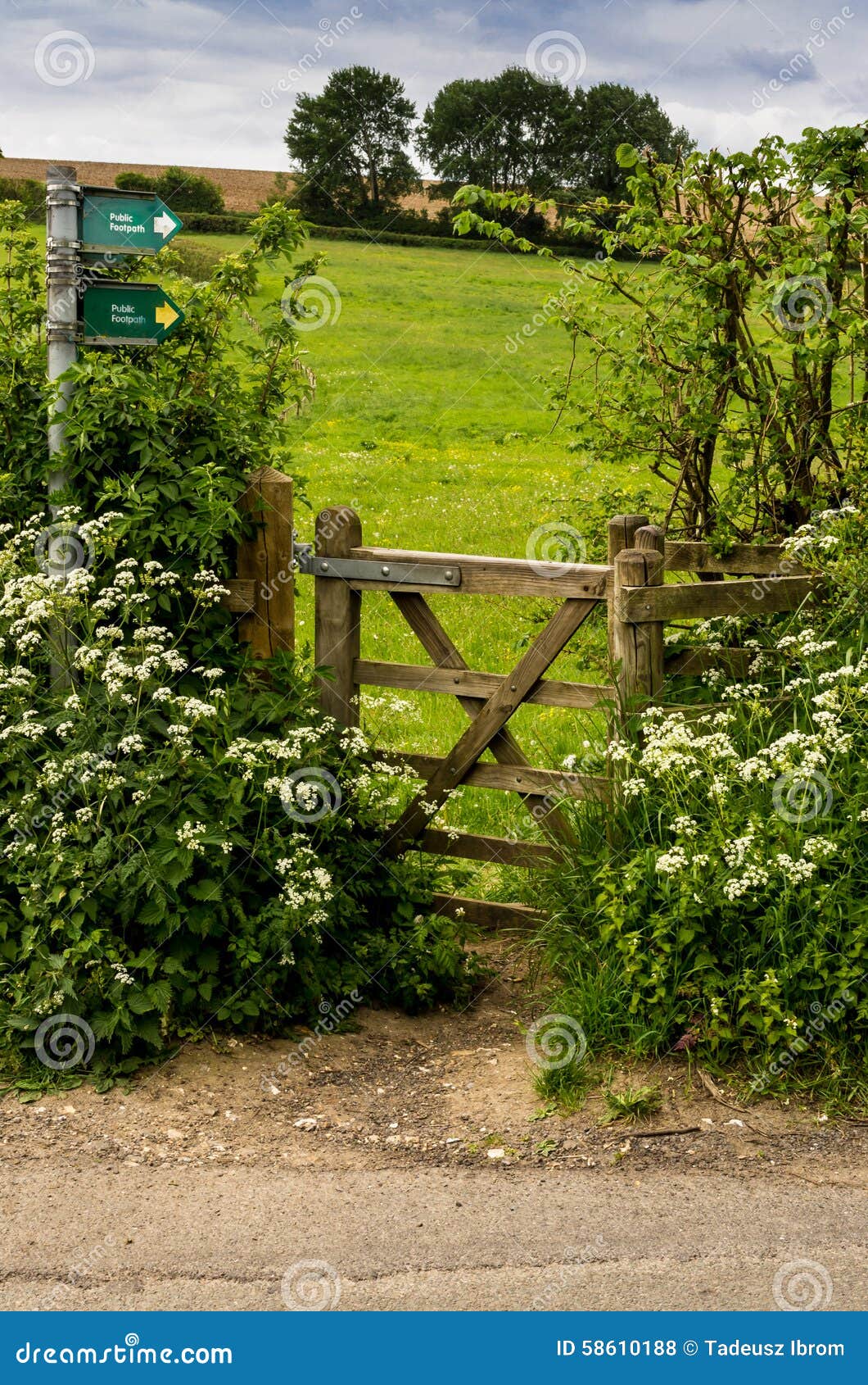 Gate stock photo. Image of england, meadow, grassland - 58610188