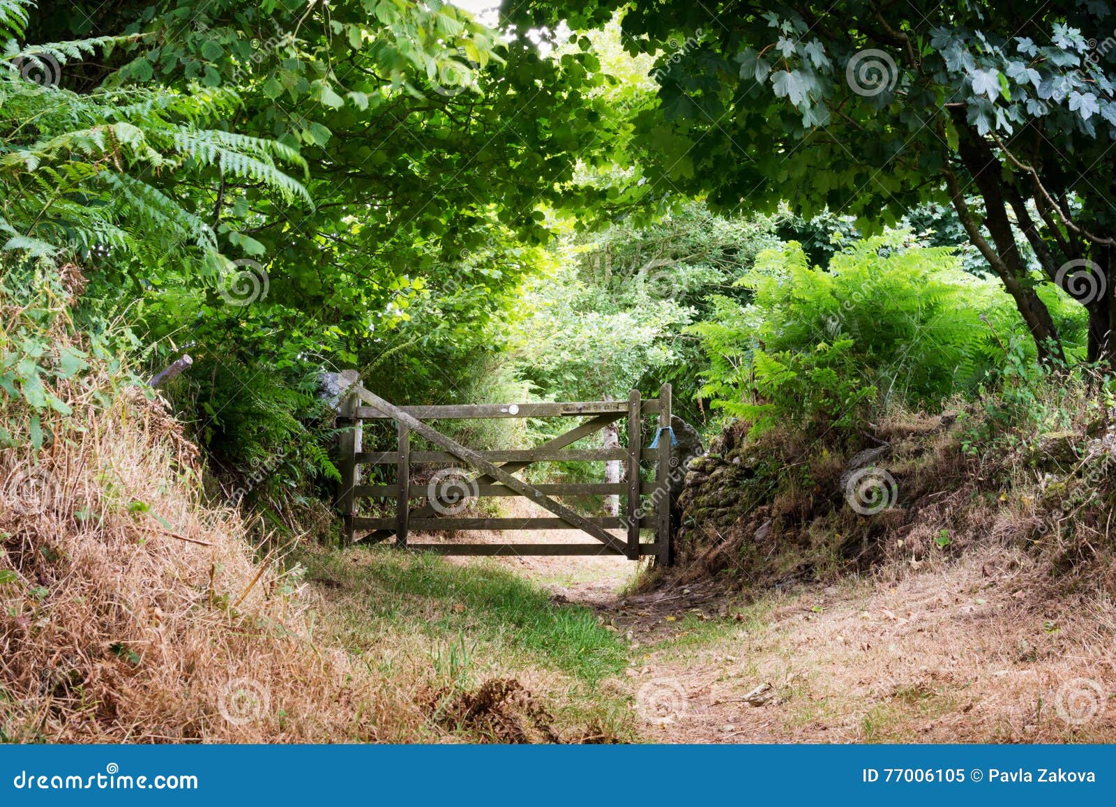 Gate in countryside stock image. Image of landscape, grass - 77006105