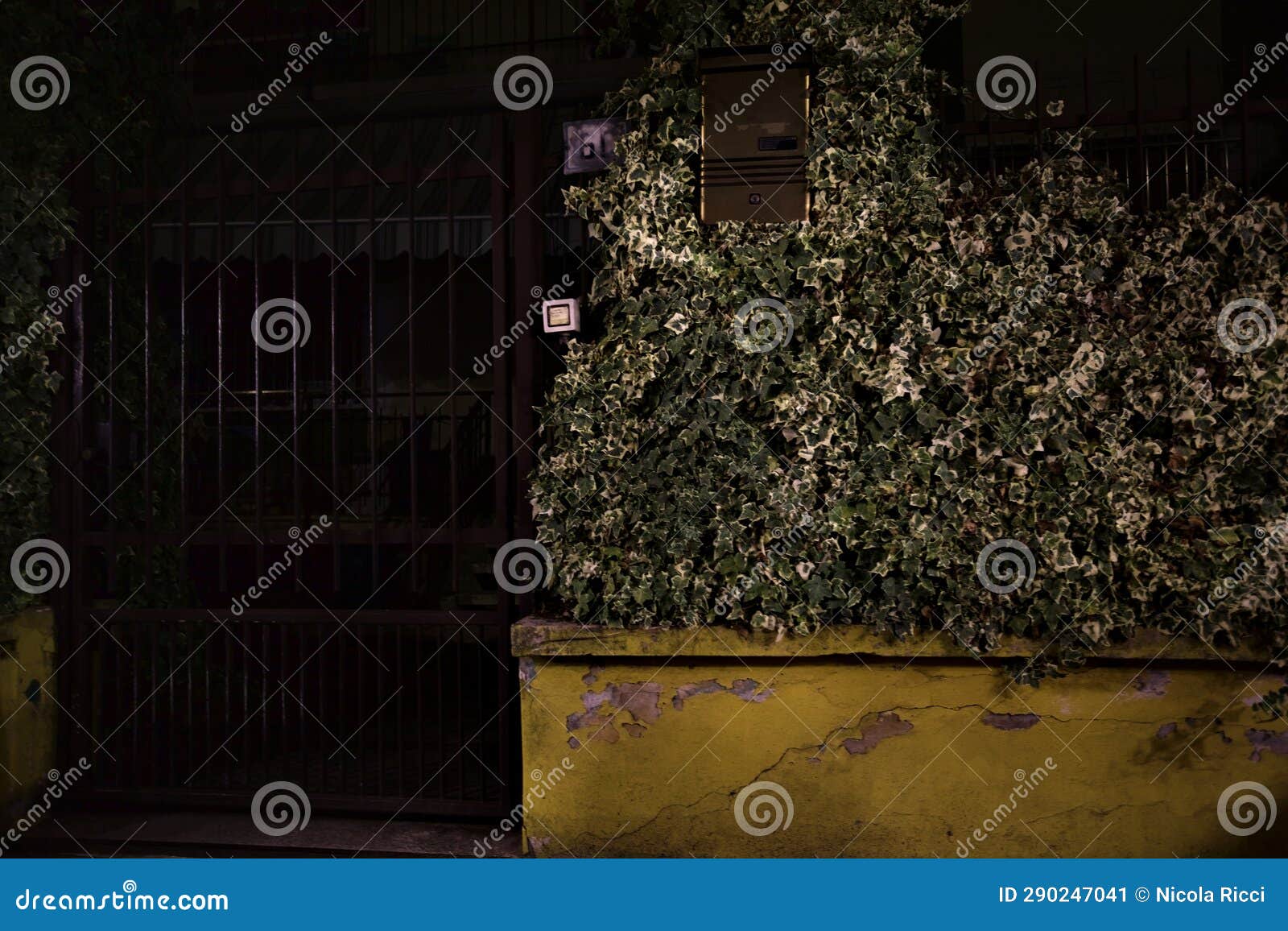 Gate Covered by Ivy with a Mail Box on it at Night Stock Image - Image ...