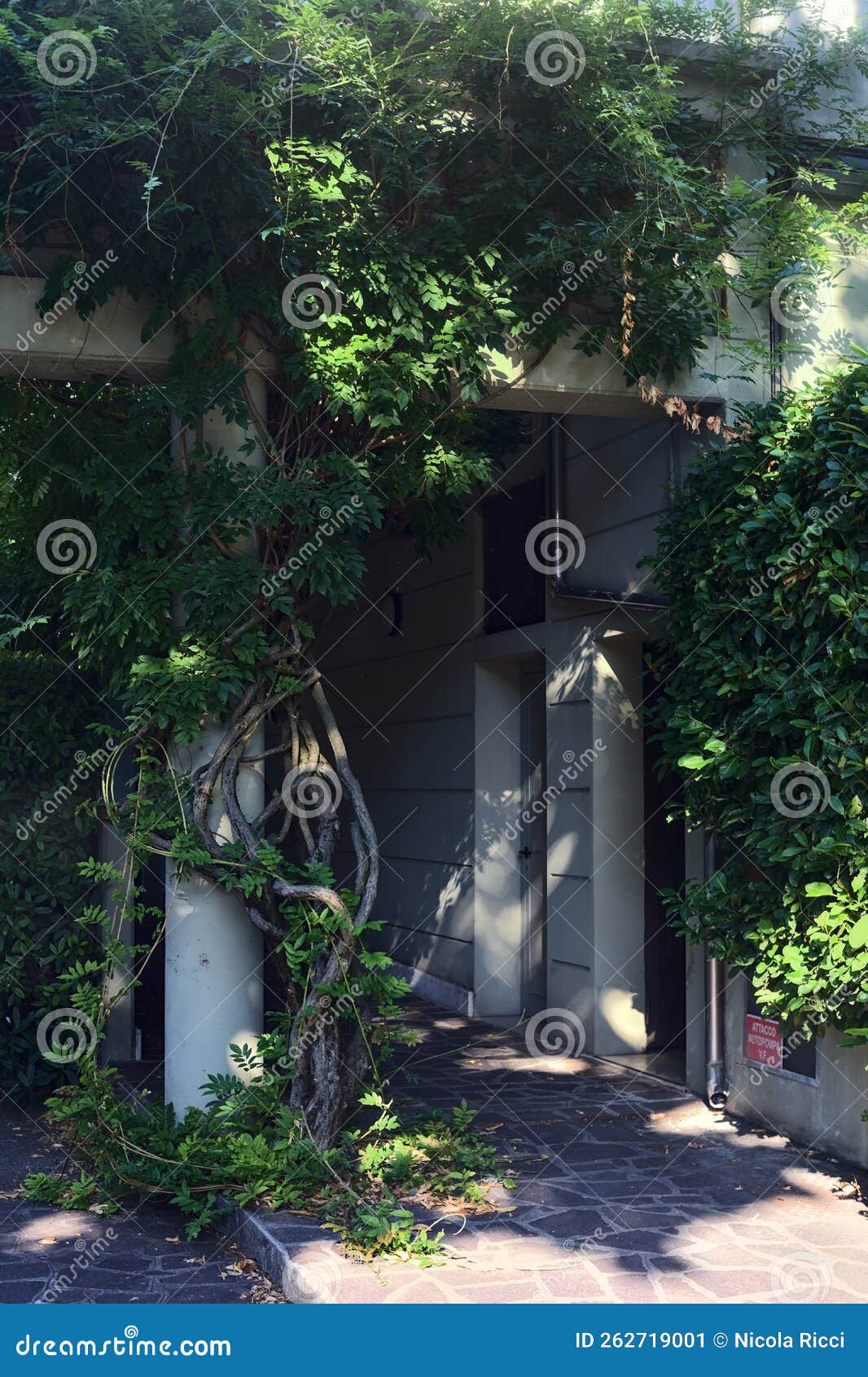 Gate and Door with Plants Surrounding Them and the Facade Stock Image ...