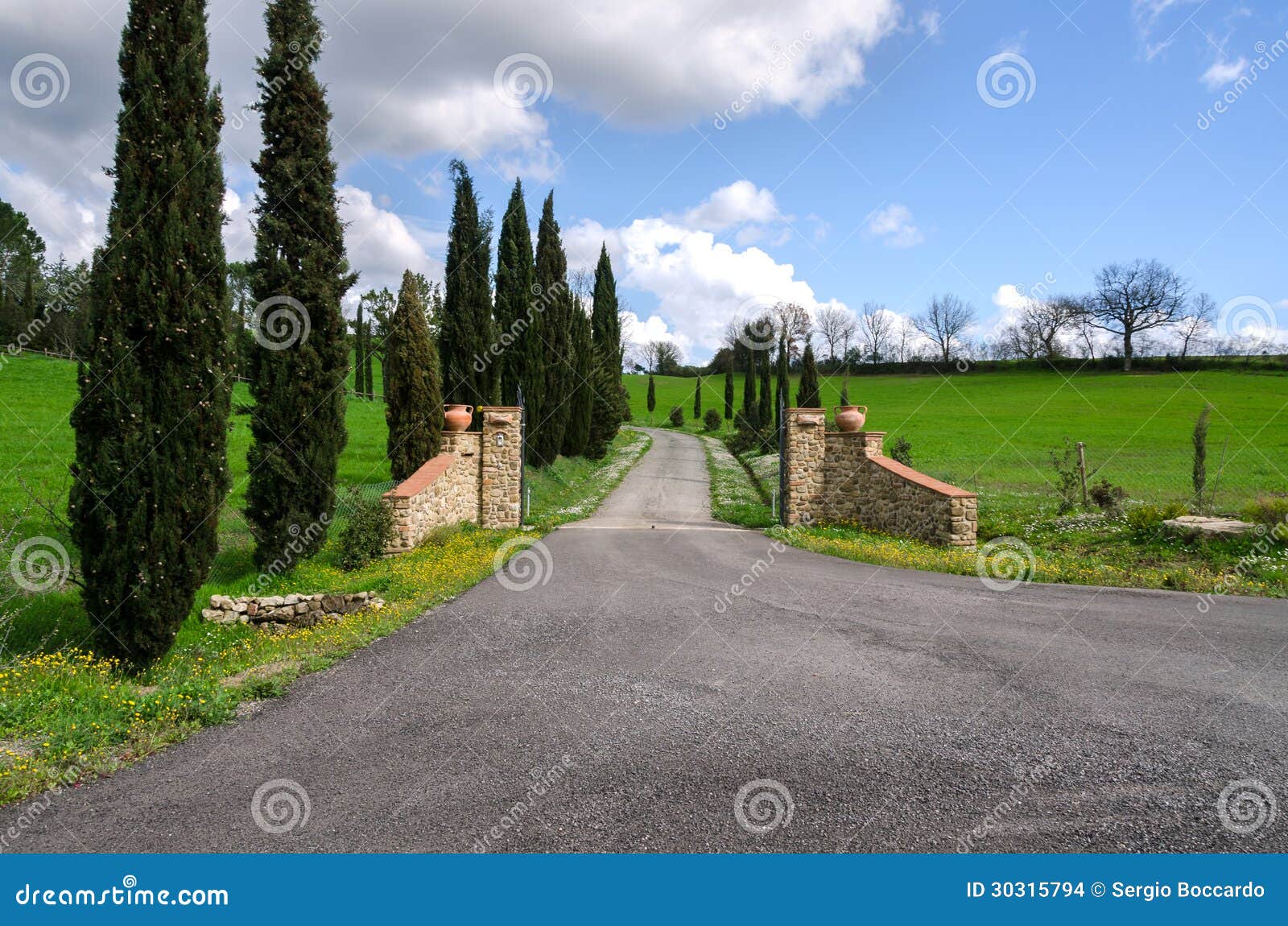 Gate in Tuscany stock photo. Image of grass, avenue, clouds - 30315794