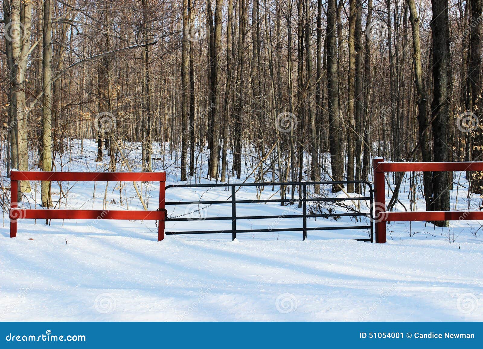 Gate Entering Woods in Winter Stock Image - Image of season, white ...