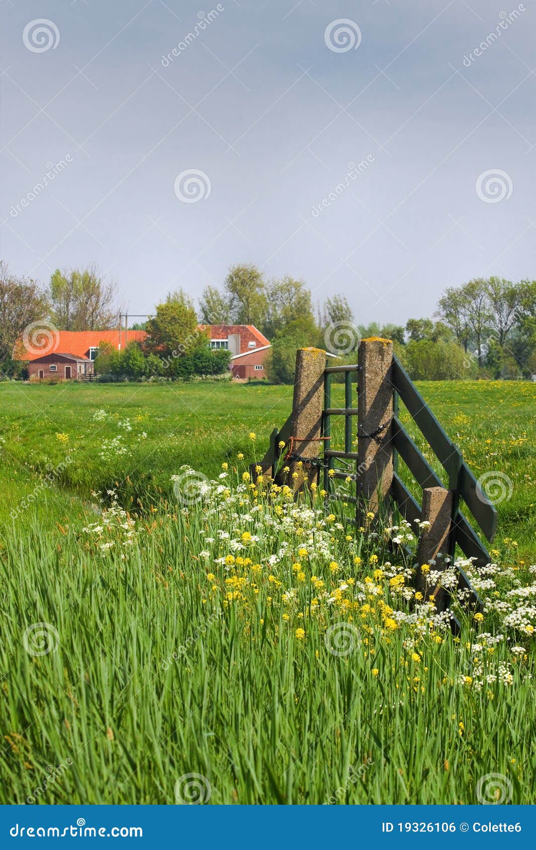 Gate and Farm in Dutch Country Landcape Stock Photo - Image of country ...
