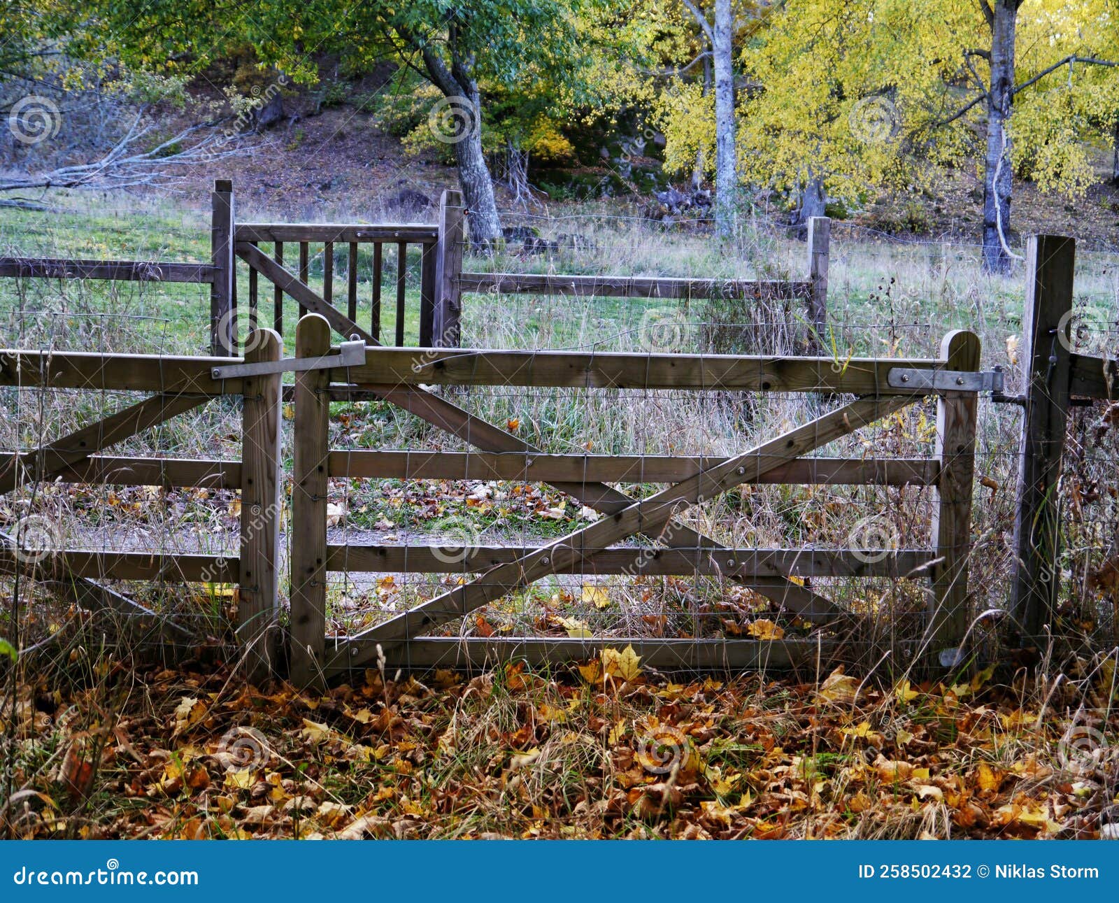 Gate in the Fence during the Fall Stock Photo - Image of park, gate ...