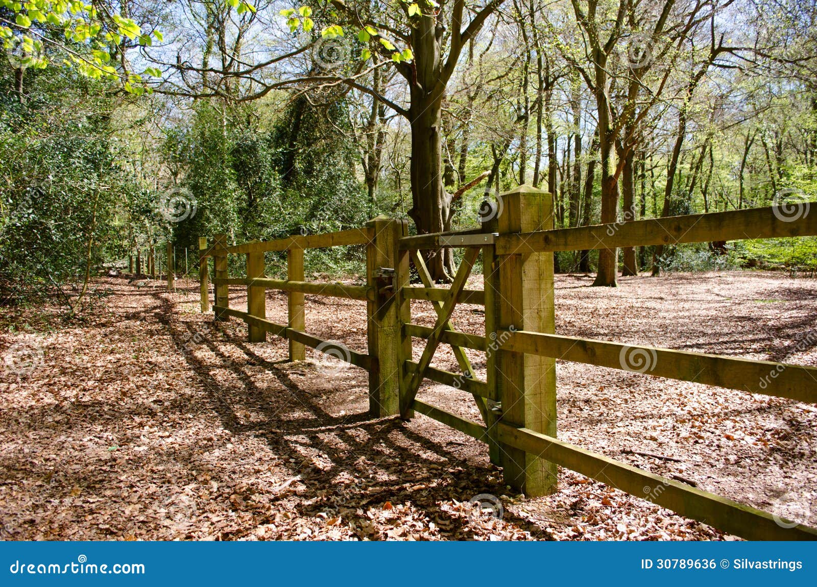 Gate and fence in forest stock photo. Image of dirt, alone - 30789636