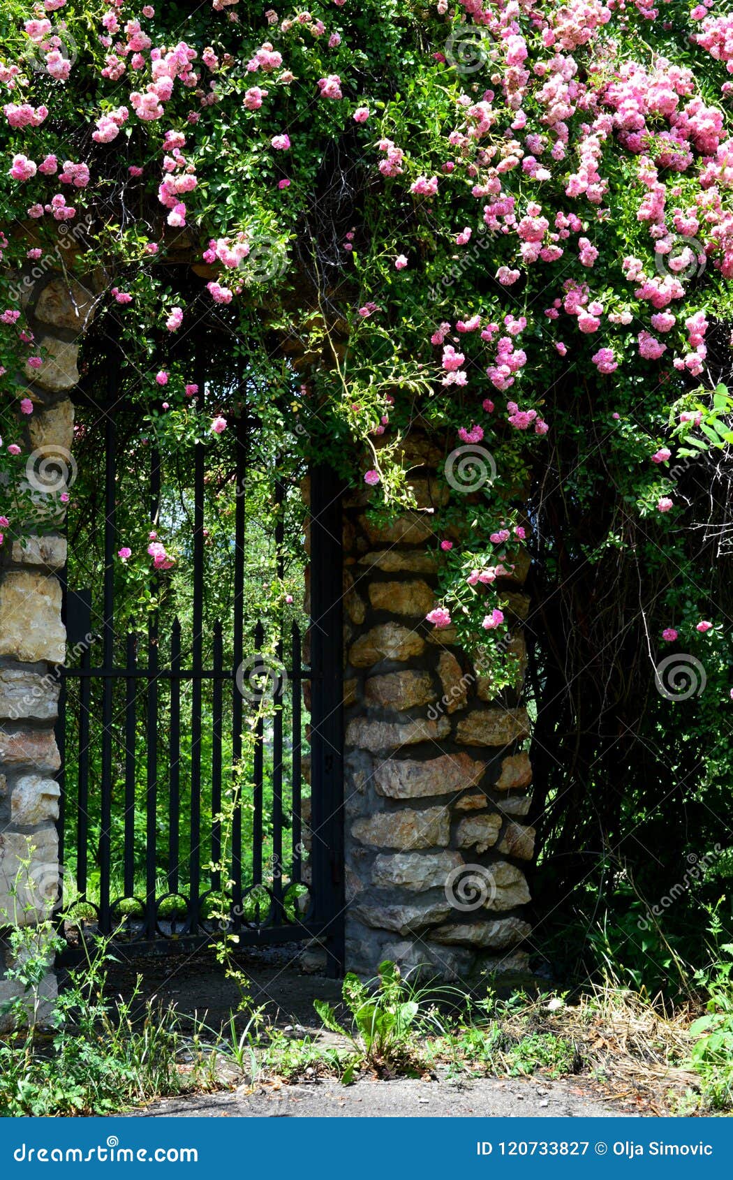 Gates in flowers stock image. Image of wall, fence, village - 120733827