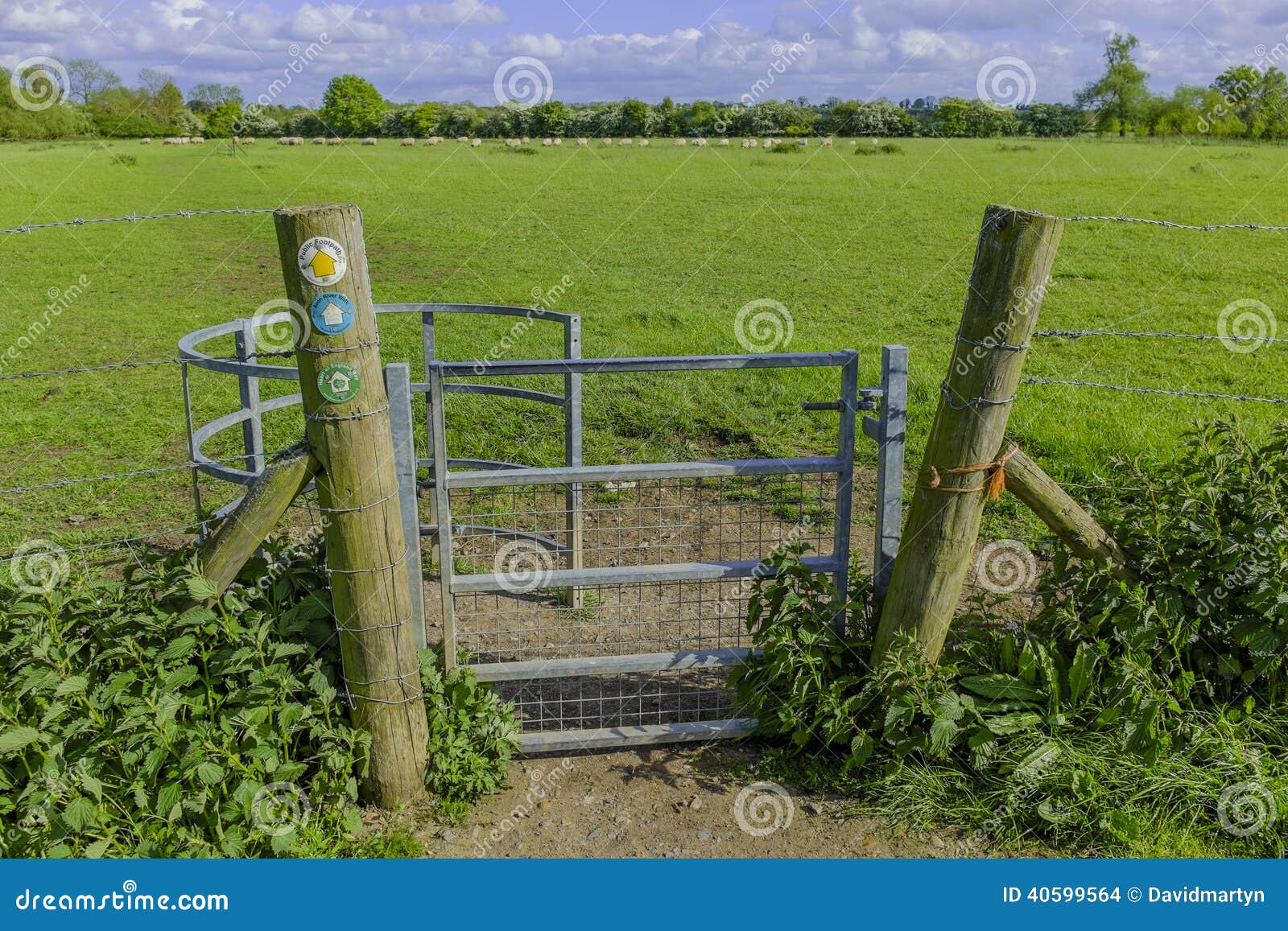 Gate stock photo. Image of forest, idyllic, access, nature - 40599564