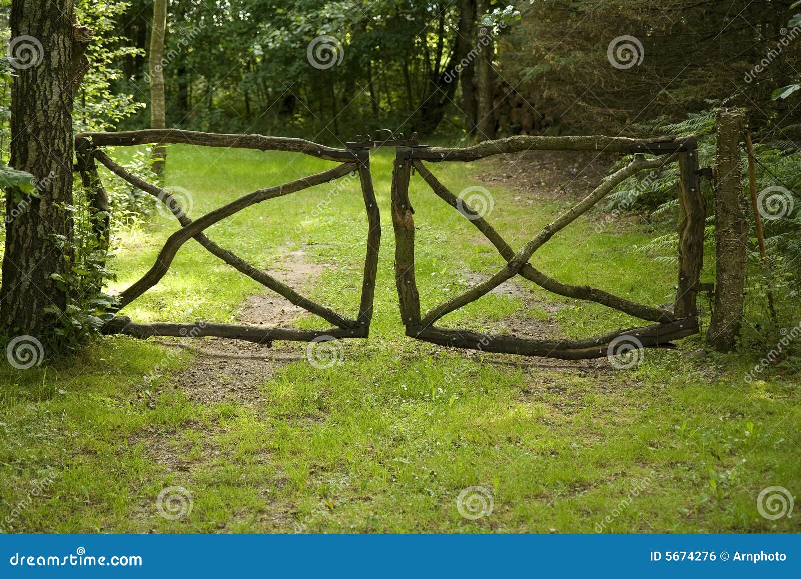 Gate in the Forest stock photo. Image of branch, forest - 5674276