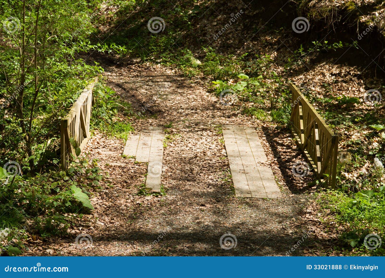 Gate in Forest stock photo. Image of natural, bush, grass - 33021888
