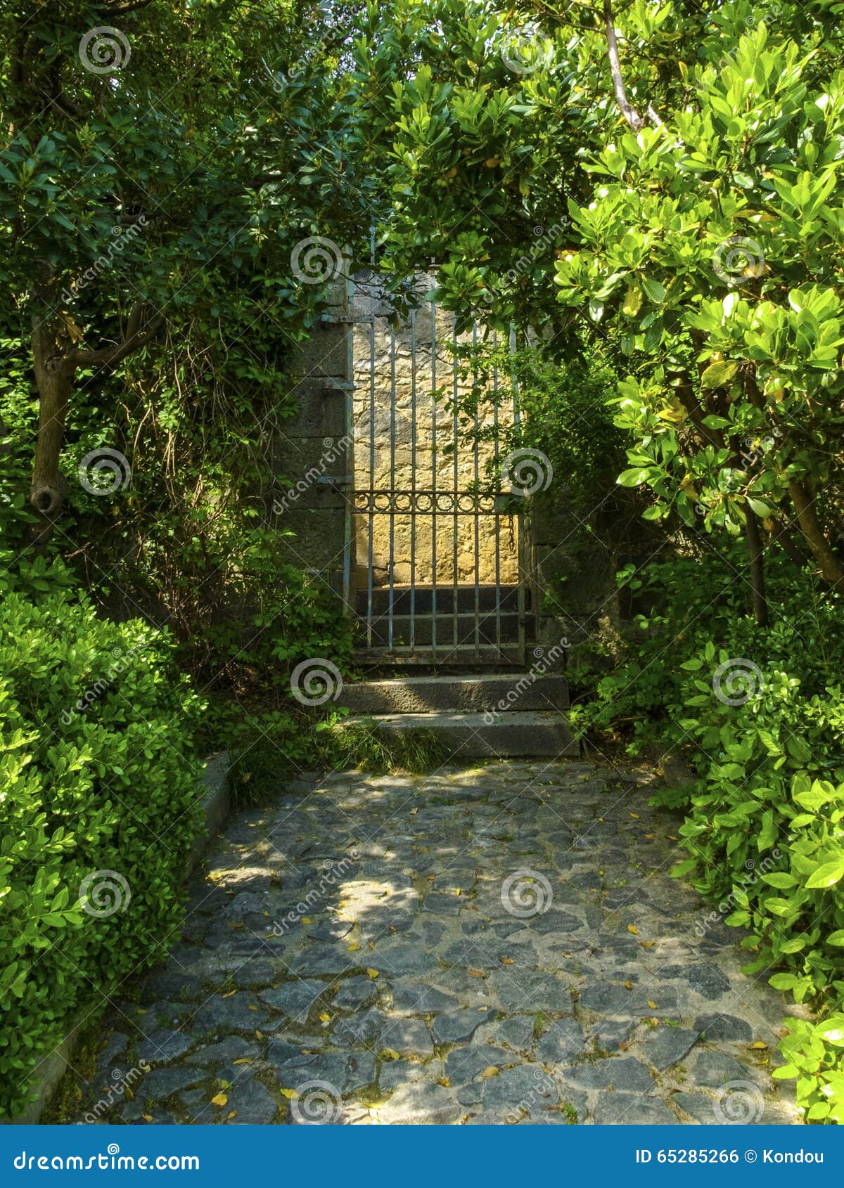 Gate among the green trees stock photo. Image of flora - 65285266