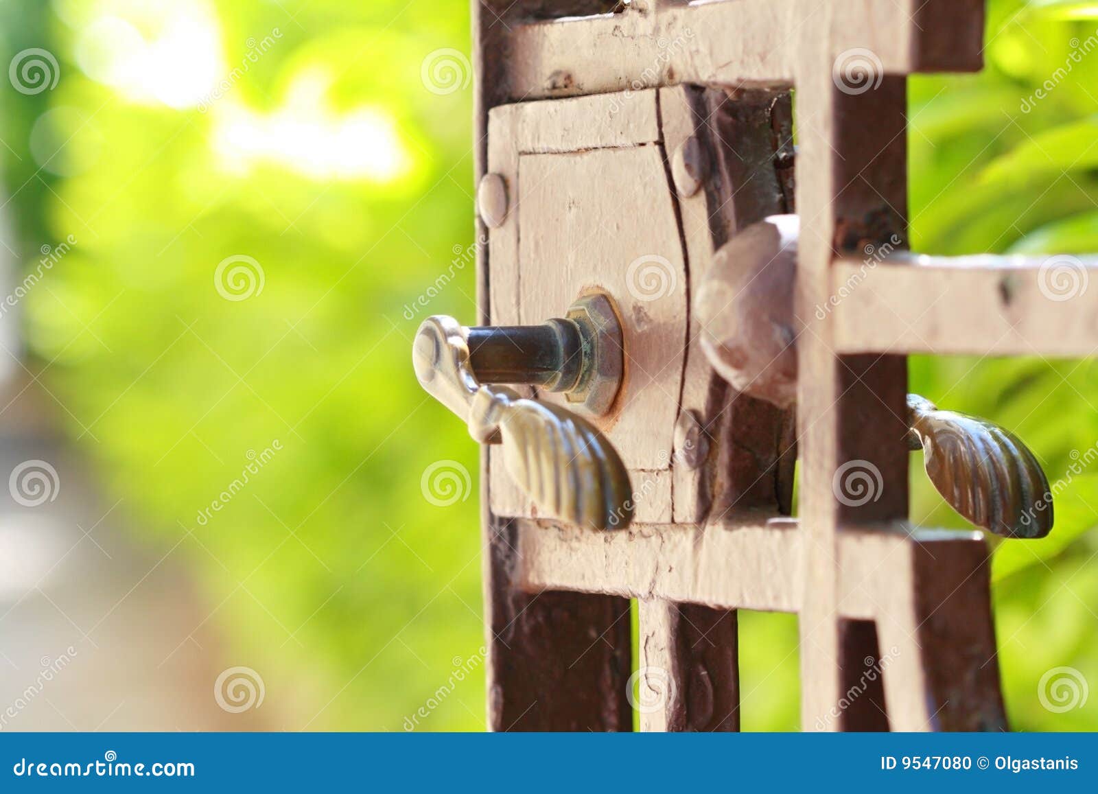 Gate handle stock photo. Image of fence, bronze, leaf - 9547080