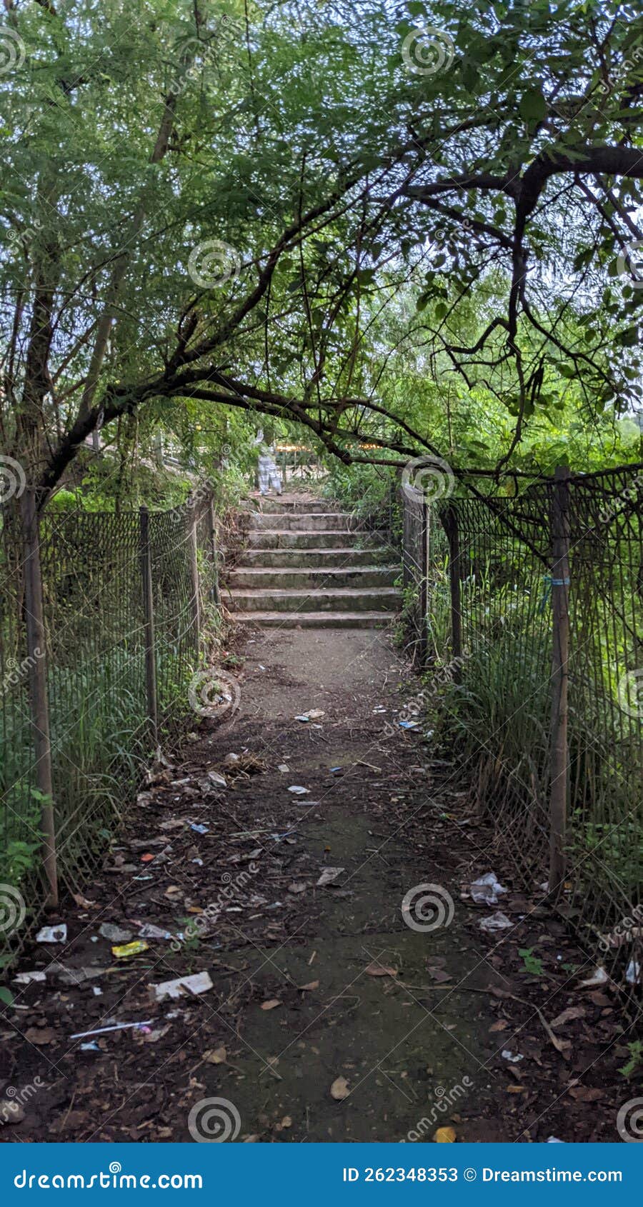 Gate Heaven Stairs Hide by Trees and Grass Stock Image - Image of tree ...