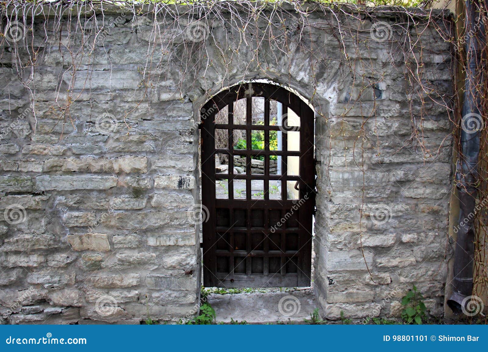 Gates and doors stock image. Image of fence, texture - 98801101