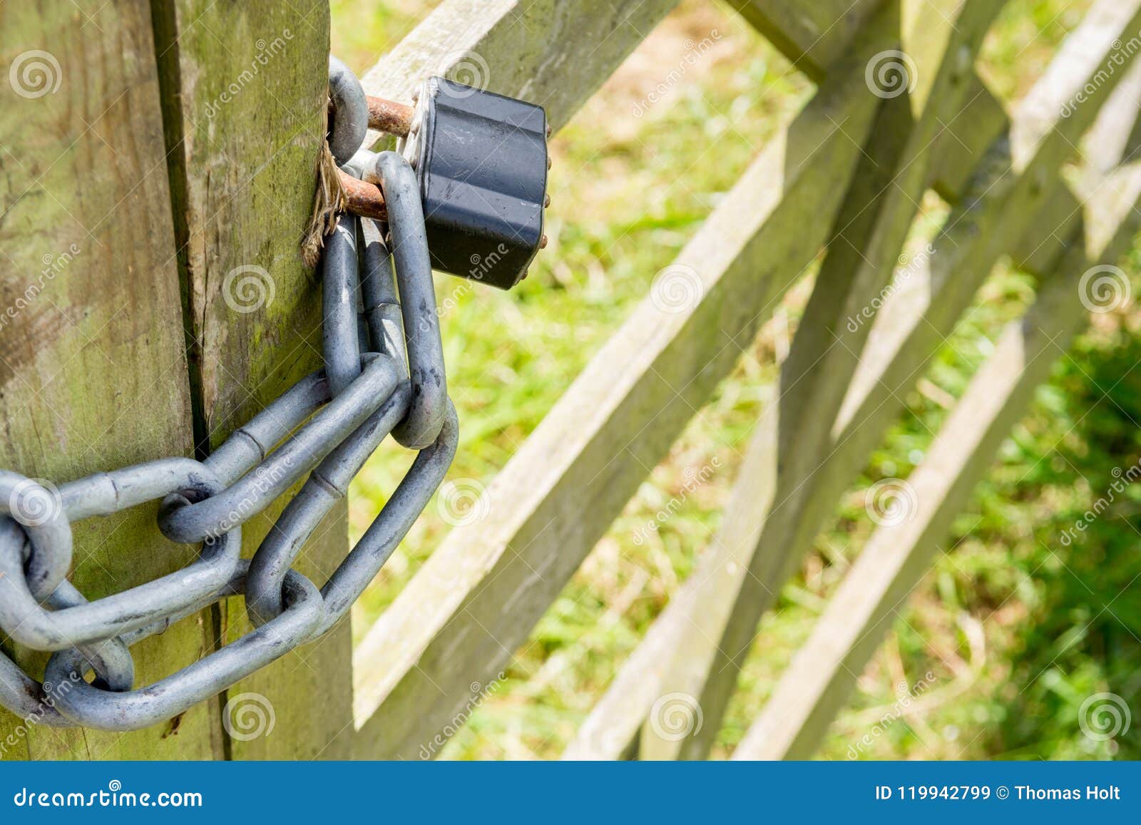 Gate Locked with a Metal Chain and Padlock Stock Image - Image of ...