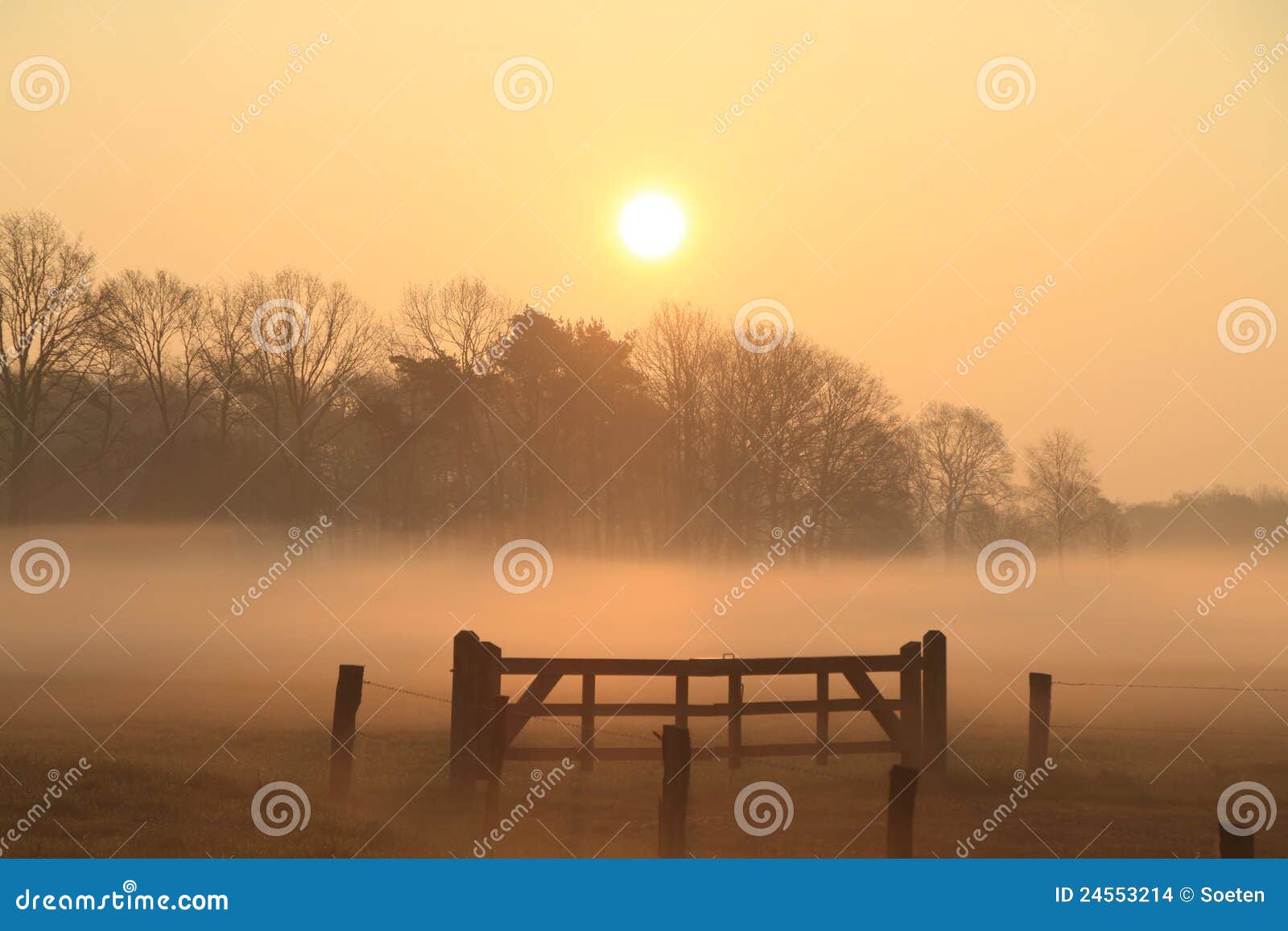 Gate in the Mist in the Sunrise Stock Photo - Image of landscape, haze ...