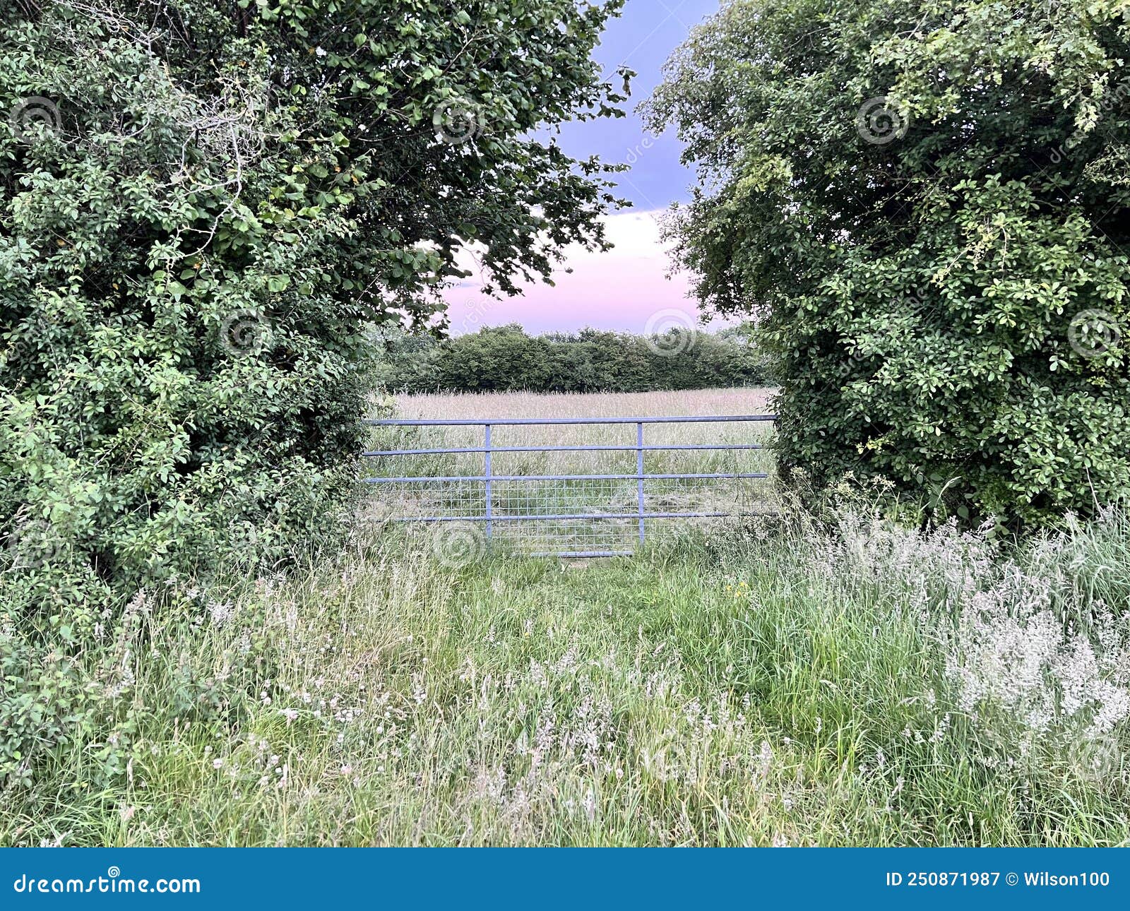 Farmers Gate stock image. Image of boundry, gates, field - 250871987