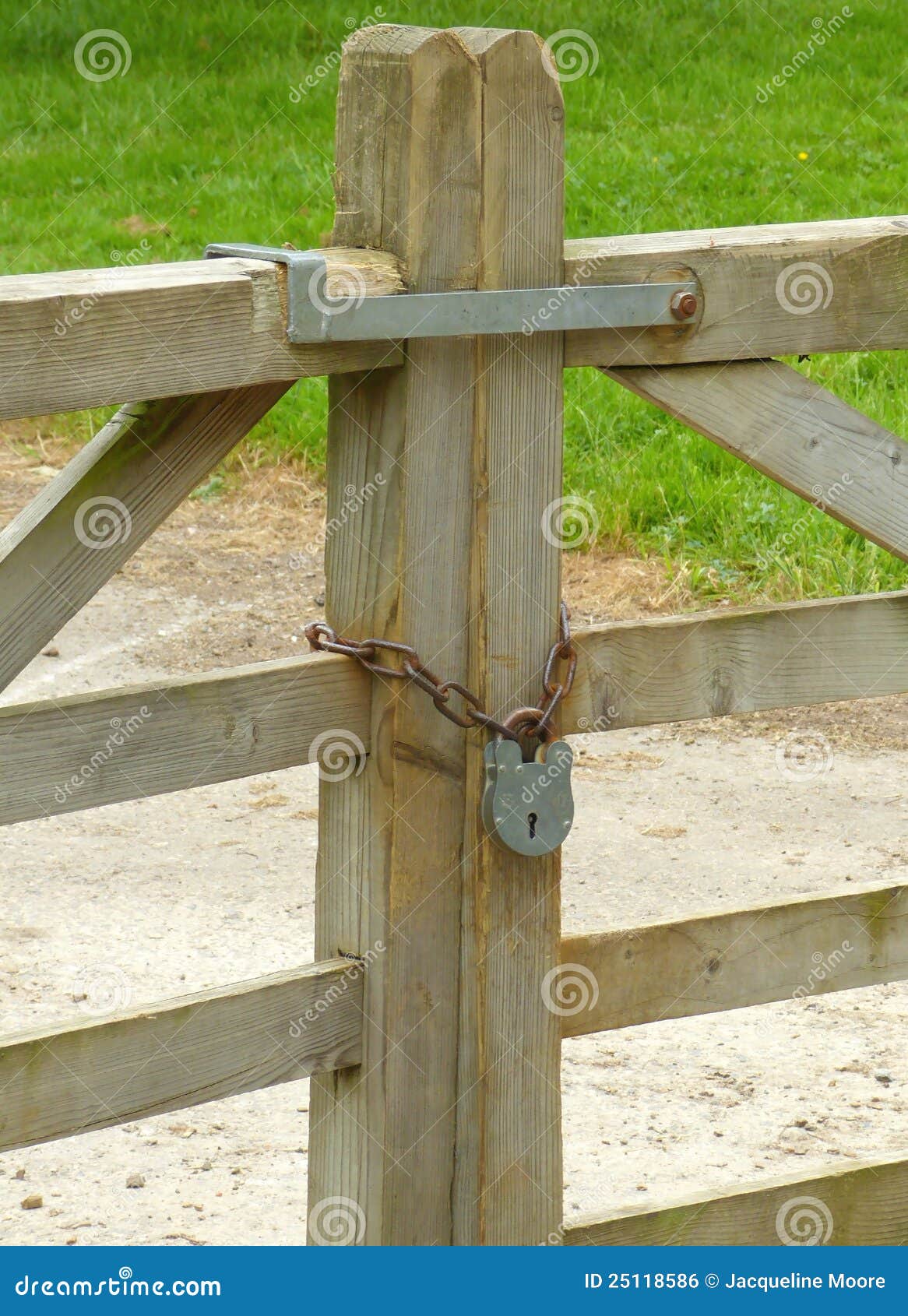 Gate with padlock stock photo. Image of security, closed - 25118586