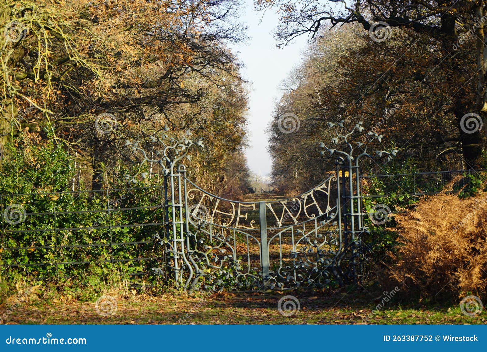 Gate of a park in autumn stock photo. Image of plant - 263387752