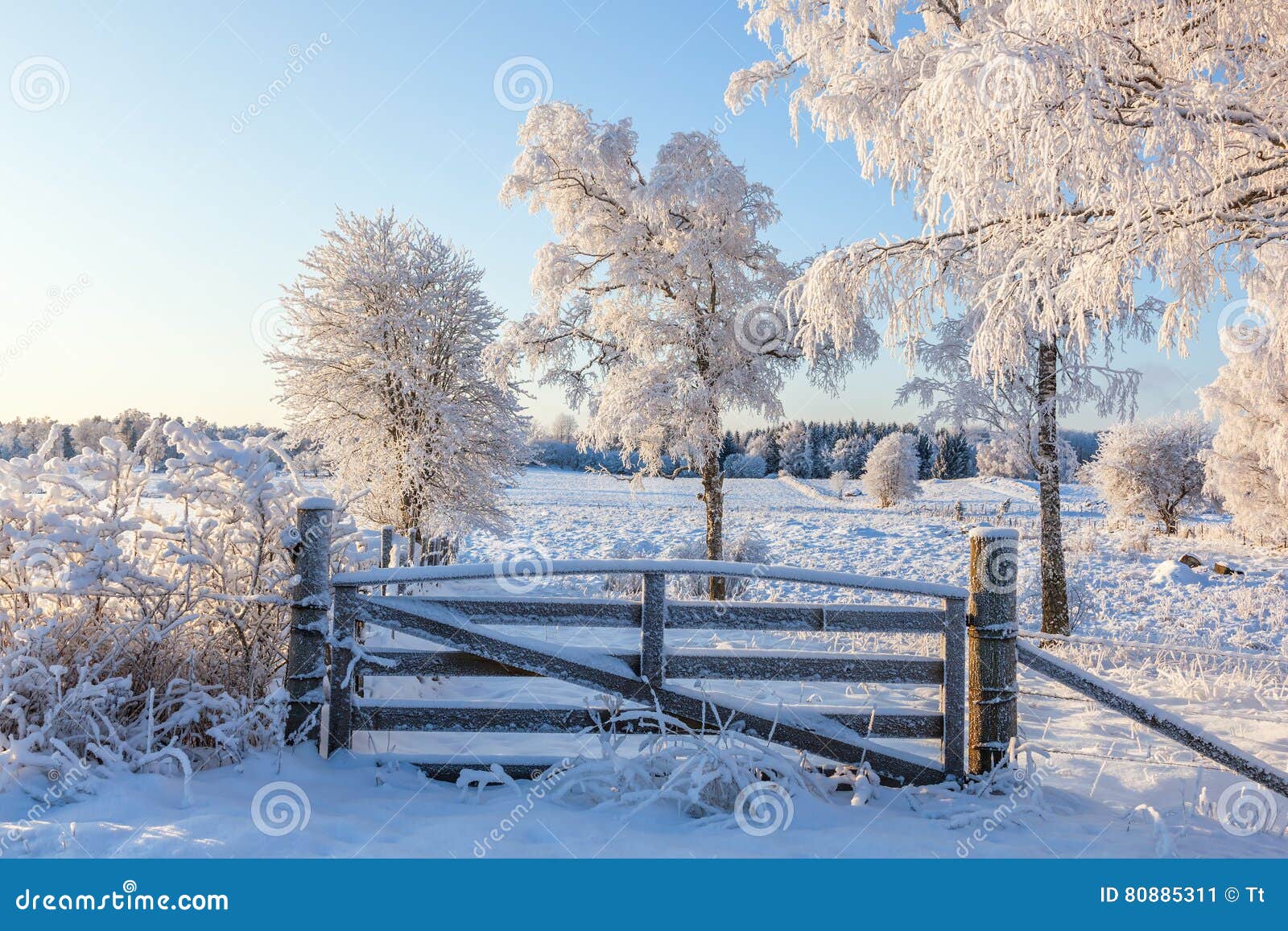 Gate at the Pasture in Winter Stock Image - Image of nature, scenery ...