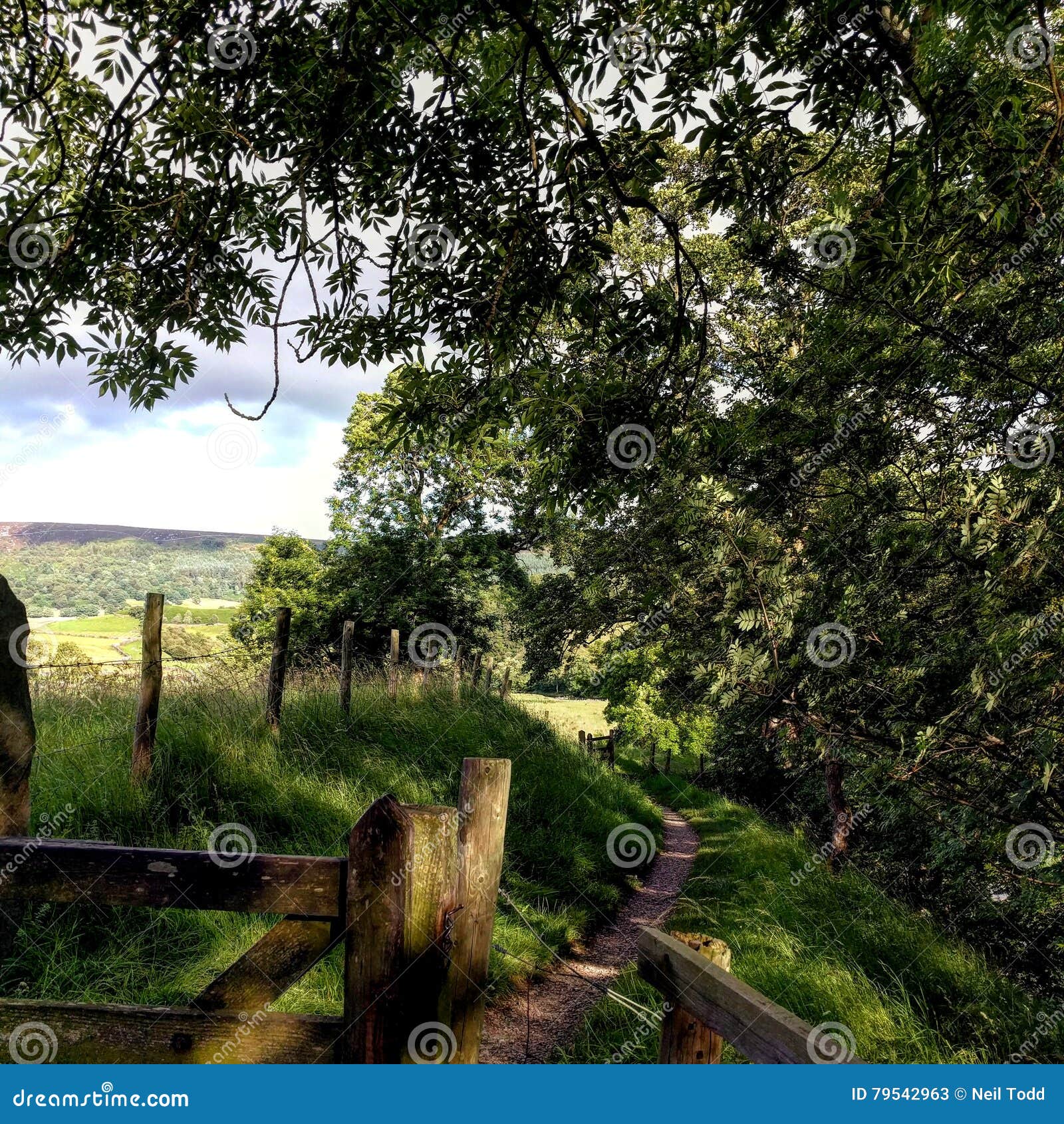 Gate and path stock image. Image of fields, path, gate - 79542963