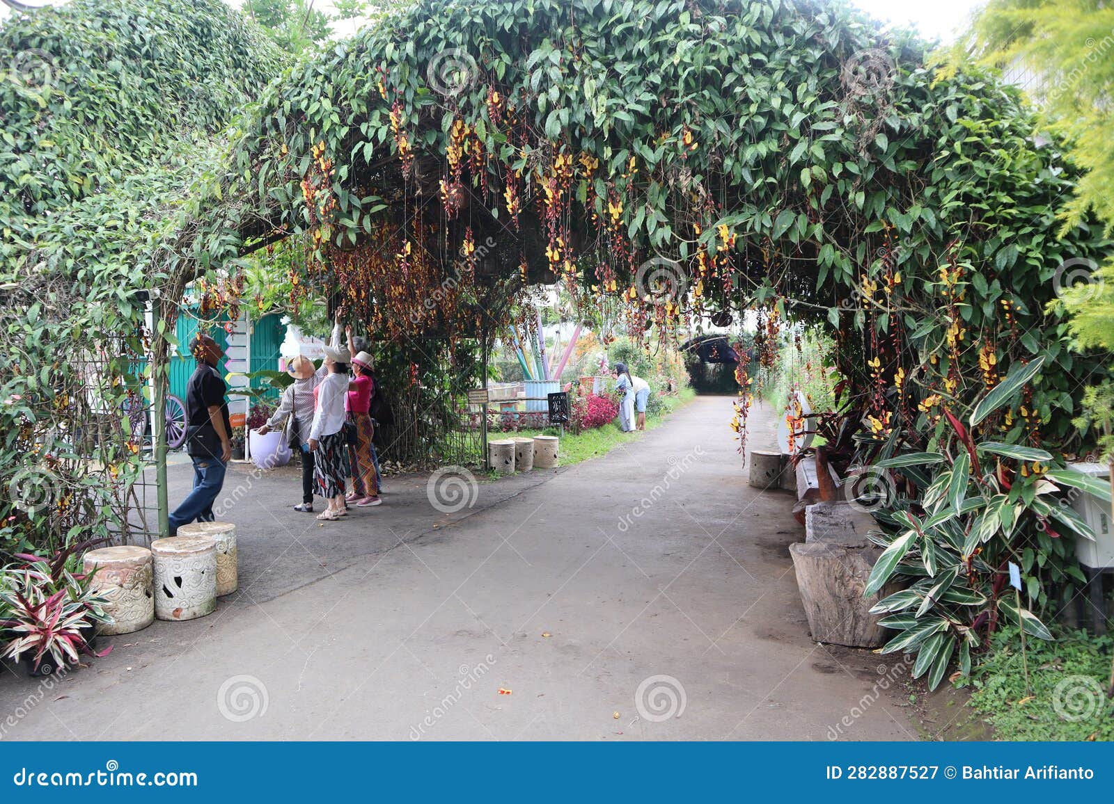 Gate with plants at noon editorial photography. Image of noon - 282887527