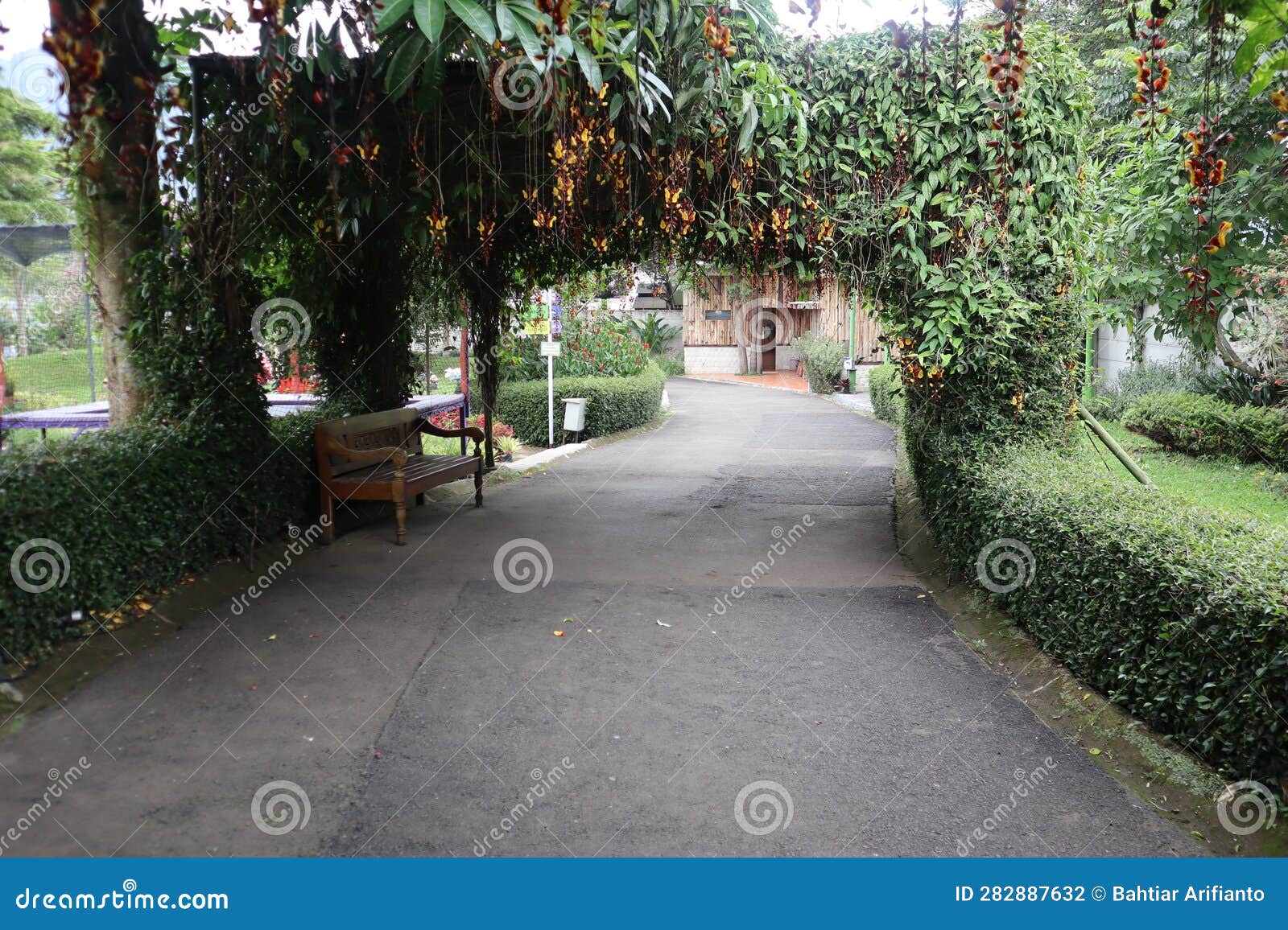 Gate with plants at noon editorial photography. Image of noon - 282887632