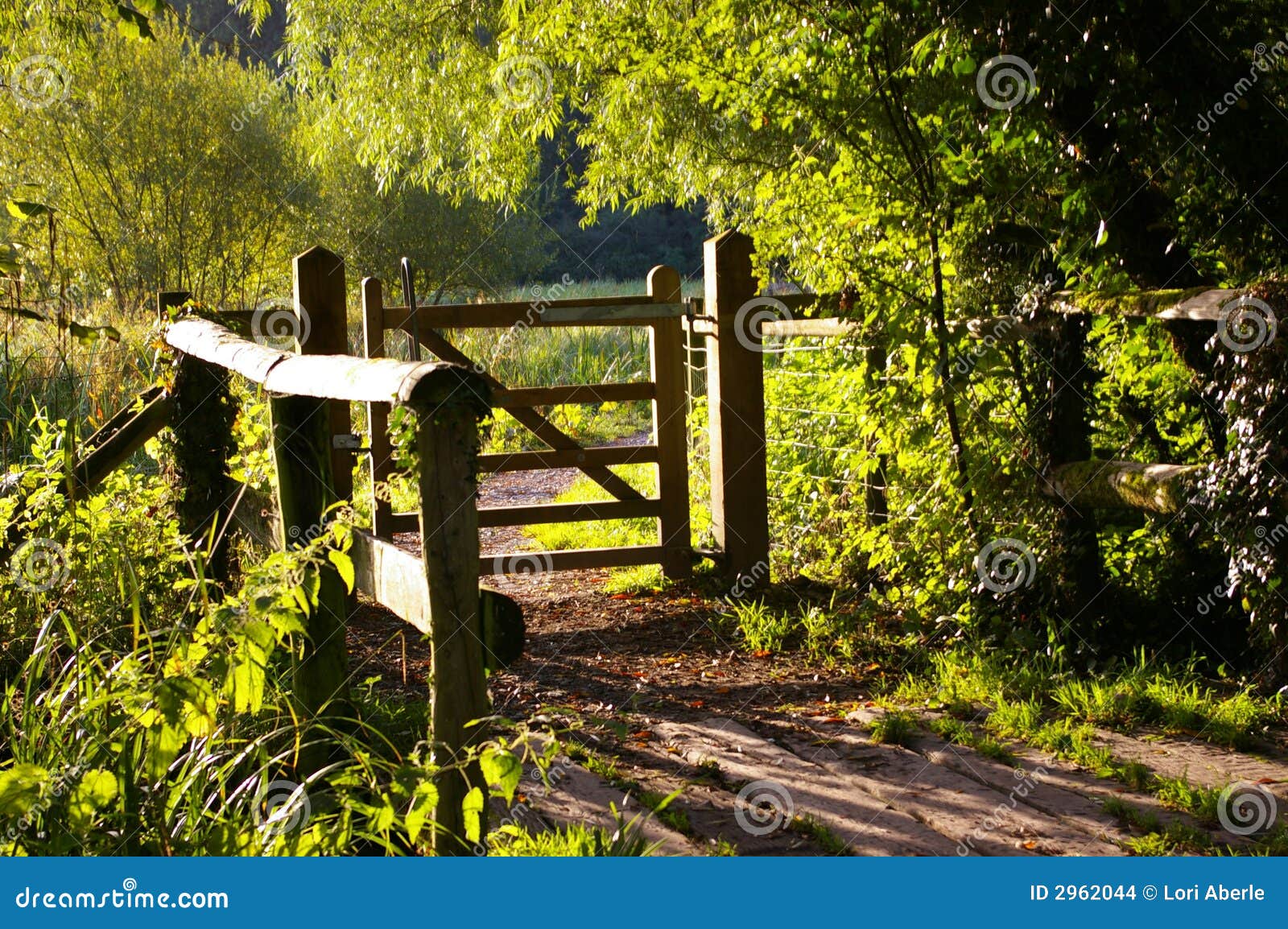 Gate in Smallbrook Meadow stock photo. Image of morning - 2962044