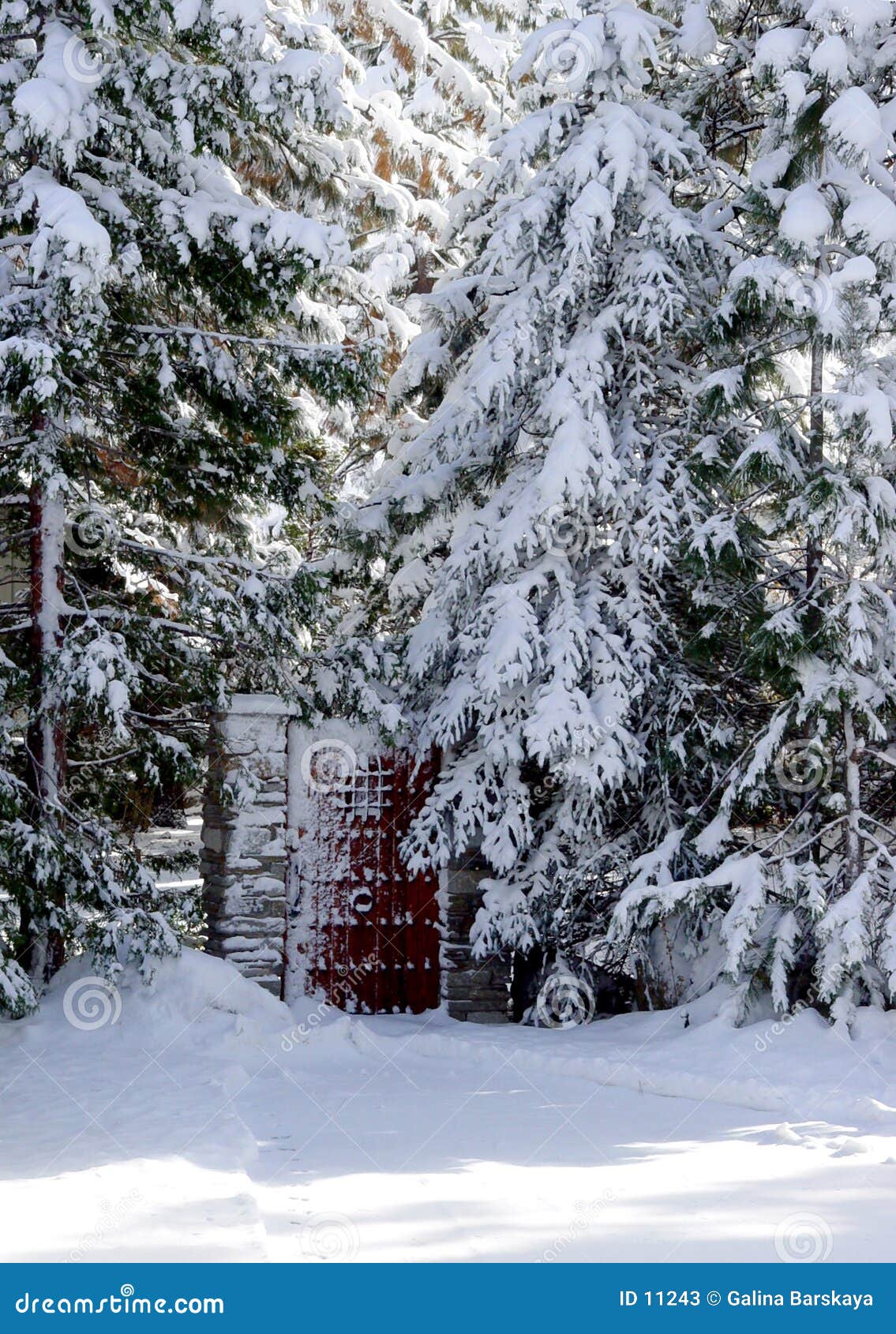 Gate in a snow woods stock image. Image of gate, california - 11243