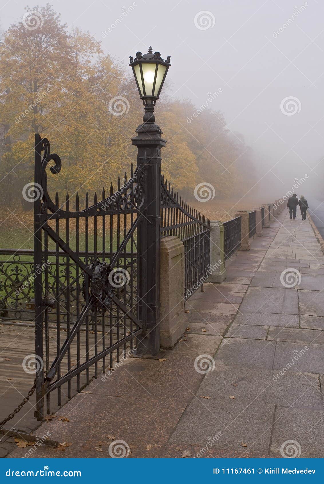 Gate streetlight in fog stock image. Image of nature - 11167461