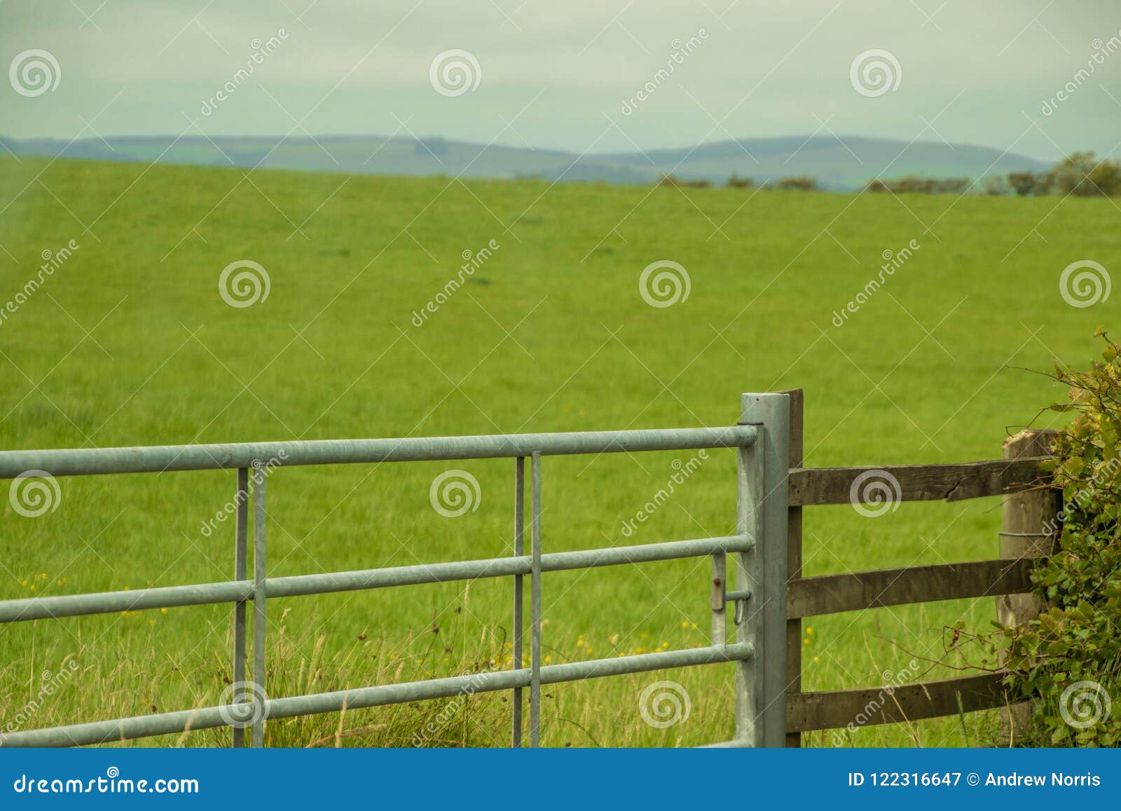 Farm Gate stock image. Image of wood, metal, field, perimeter - 122316647
