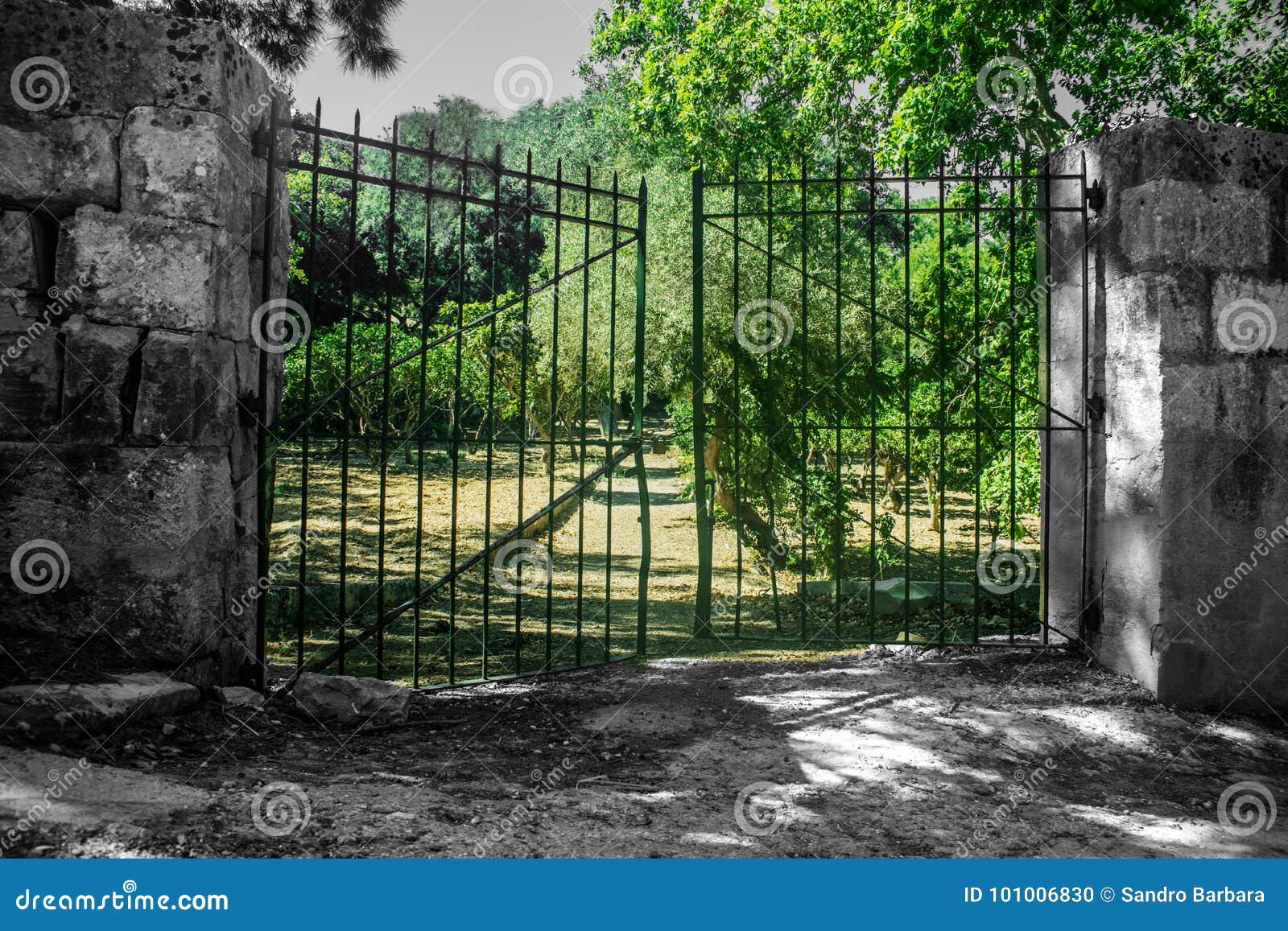 Gate to the Forest stock photo. Image of rural, wooden - 101006830