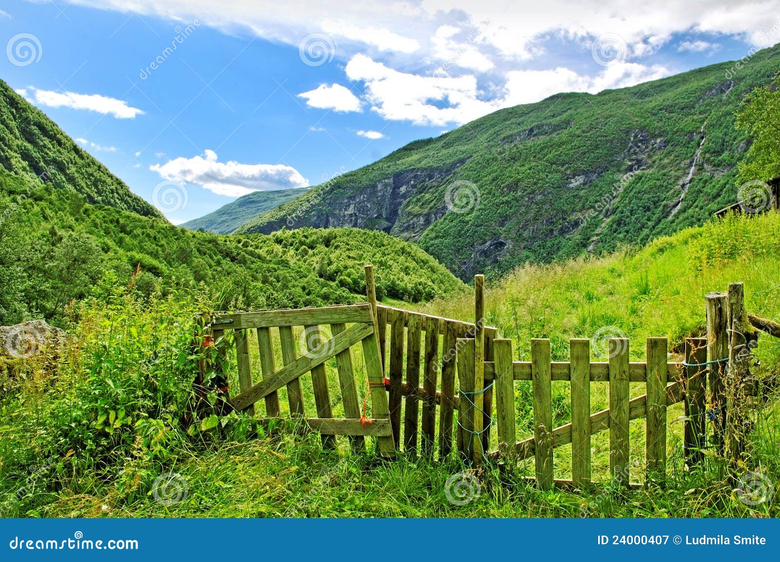 Gate to the mountains. stock image. Image of forest, scandinavia - 24000407