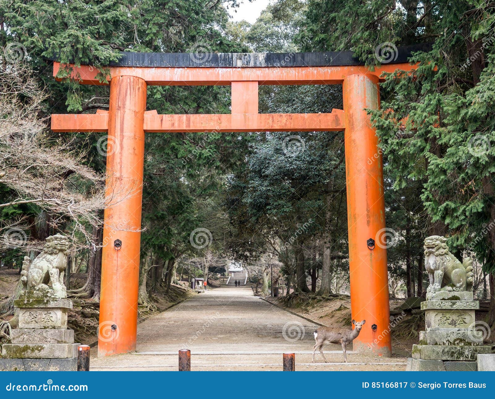A gate to Nara park stock image. Image of people, outdoor - 85166817
