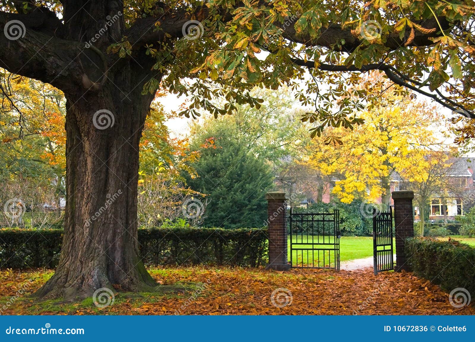 Gate to the park in autumn stock photo. Image of background - 10672836