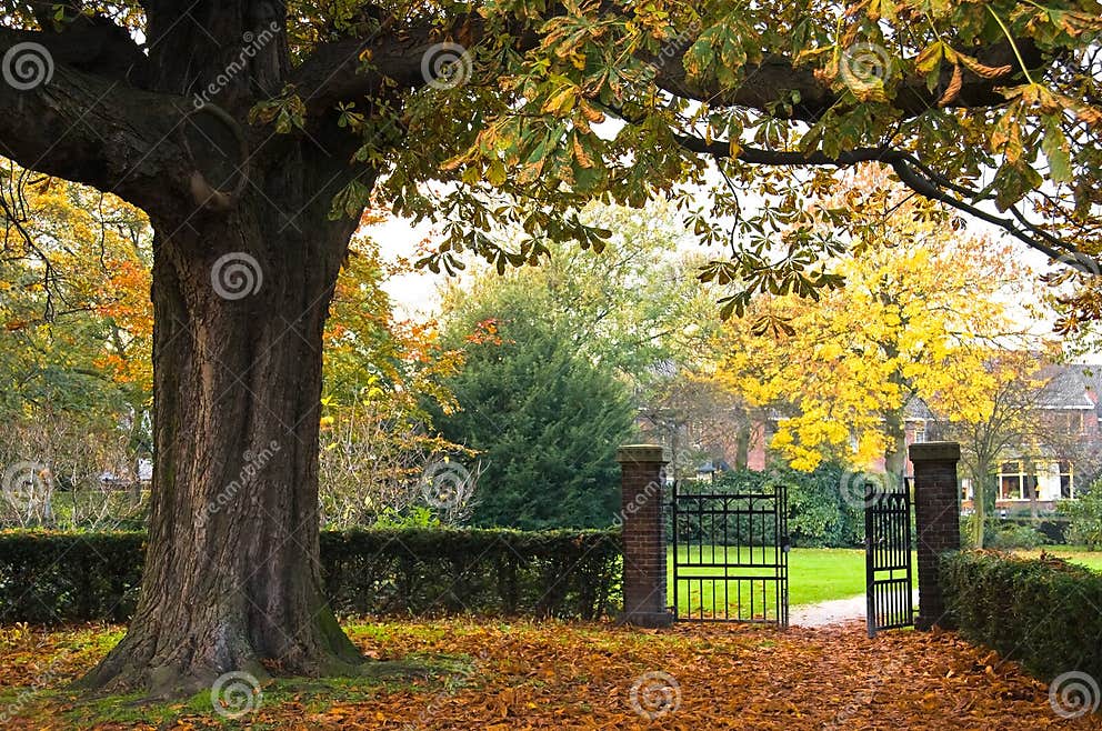 Gate to the park in autumn stock photo. Image of background - 10672836