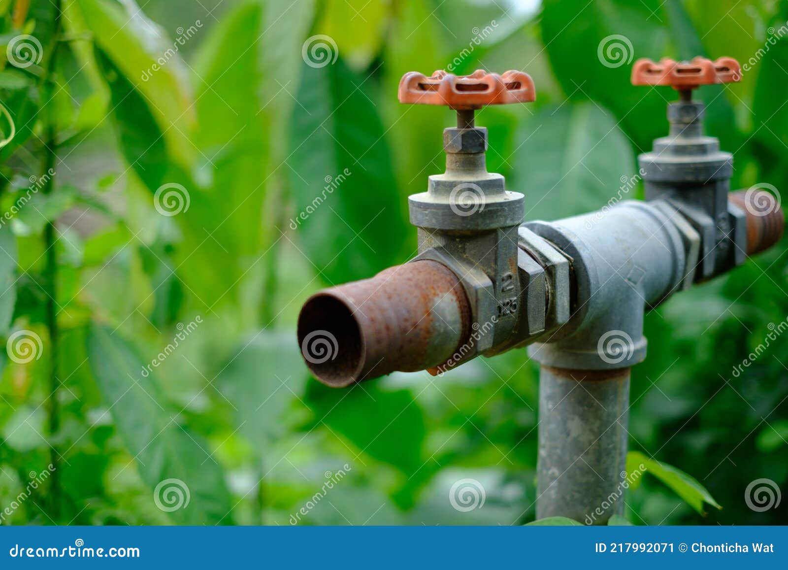 Gate Valve on the Pipeline in Irrigation Systems Control the Water ...