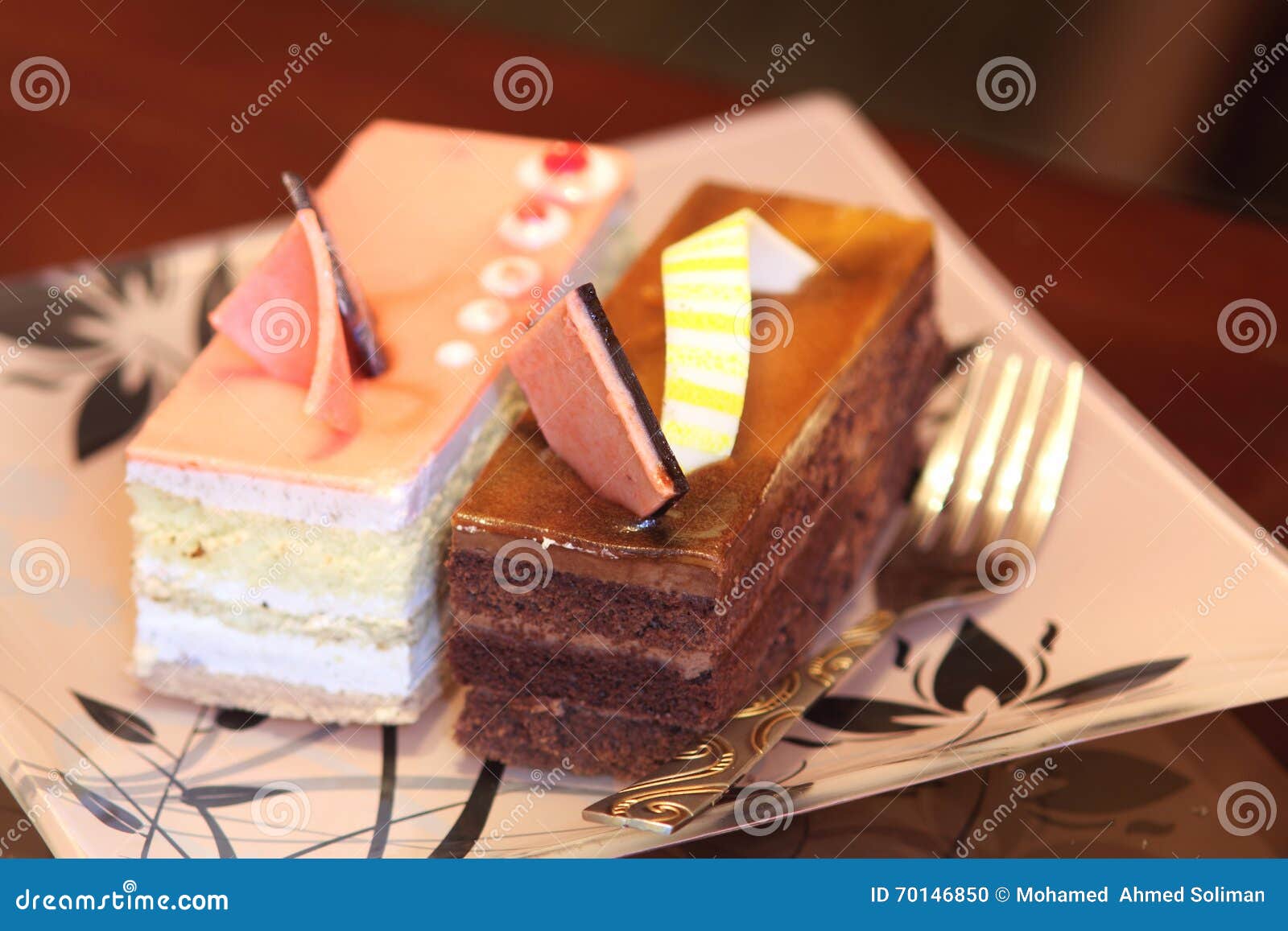 Gateau stock photo. Image of chocolate, nuts, sauce, plate - 70146850