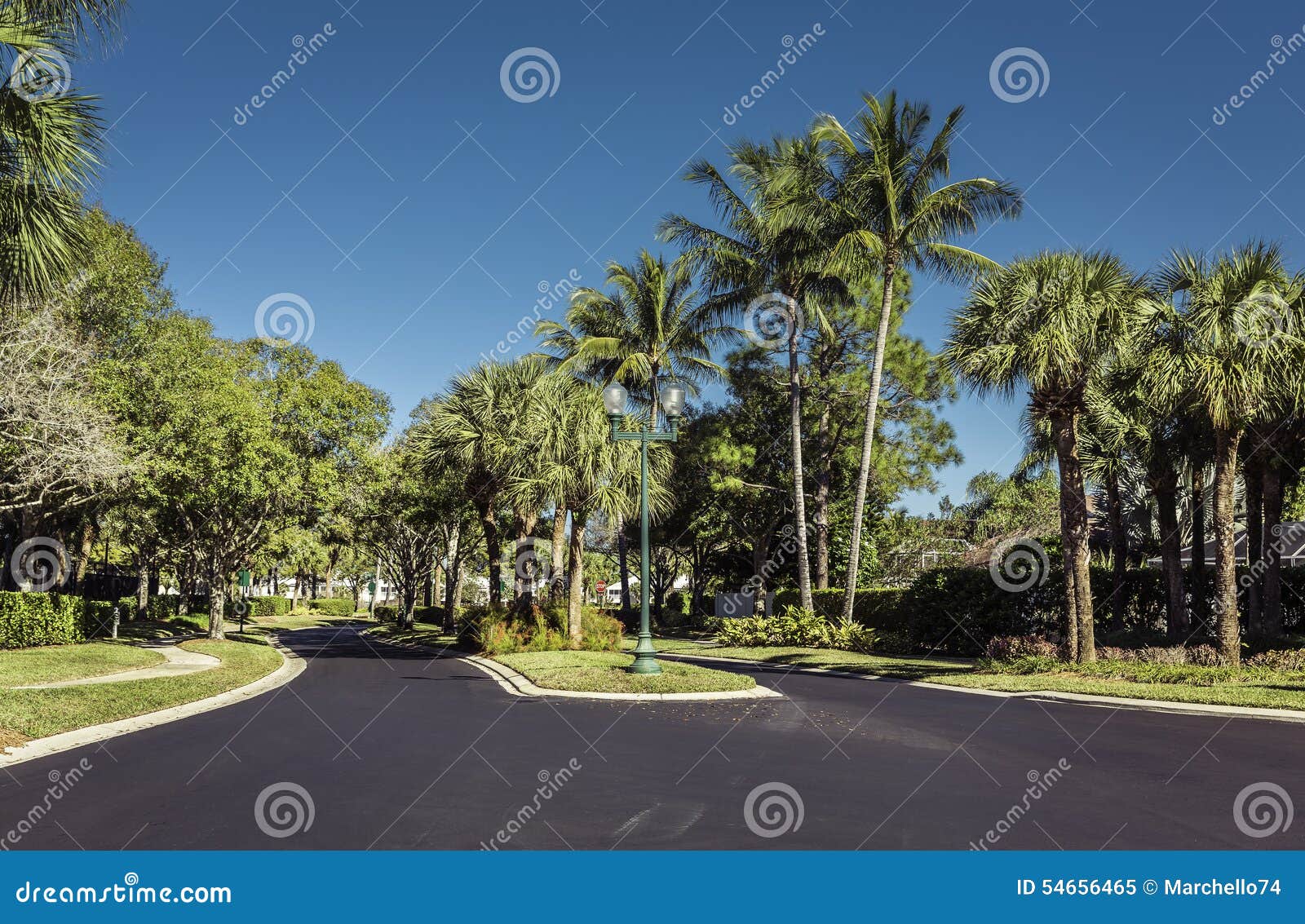 Gated Community Road in Tropics Stock Image - Image of lawn, asphalt ...