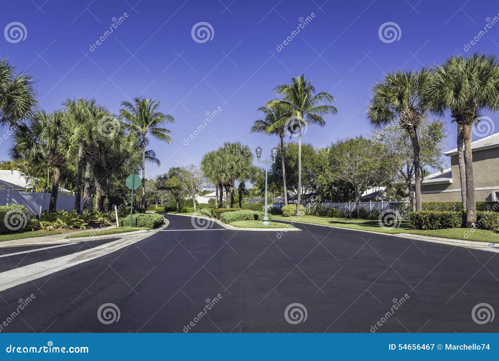 Gated Community Road in Tropics Stock Image - Image of community ...