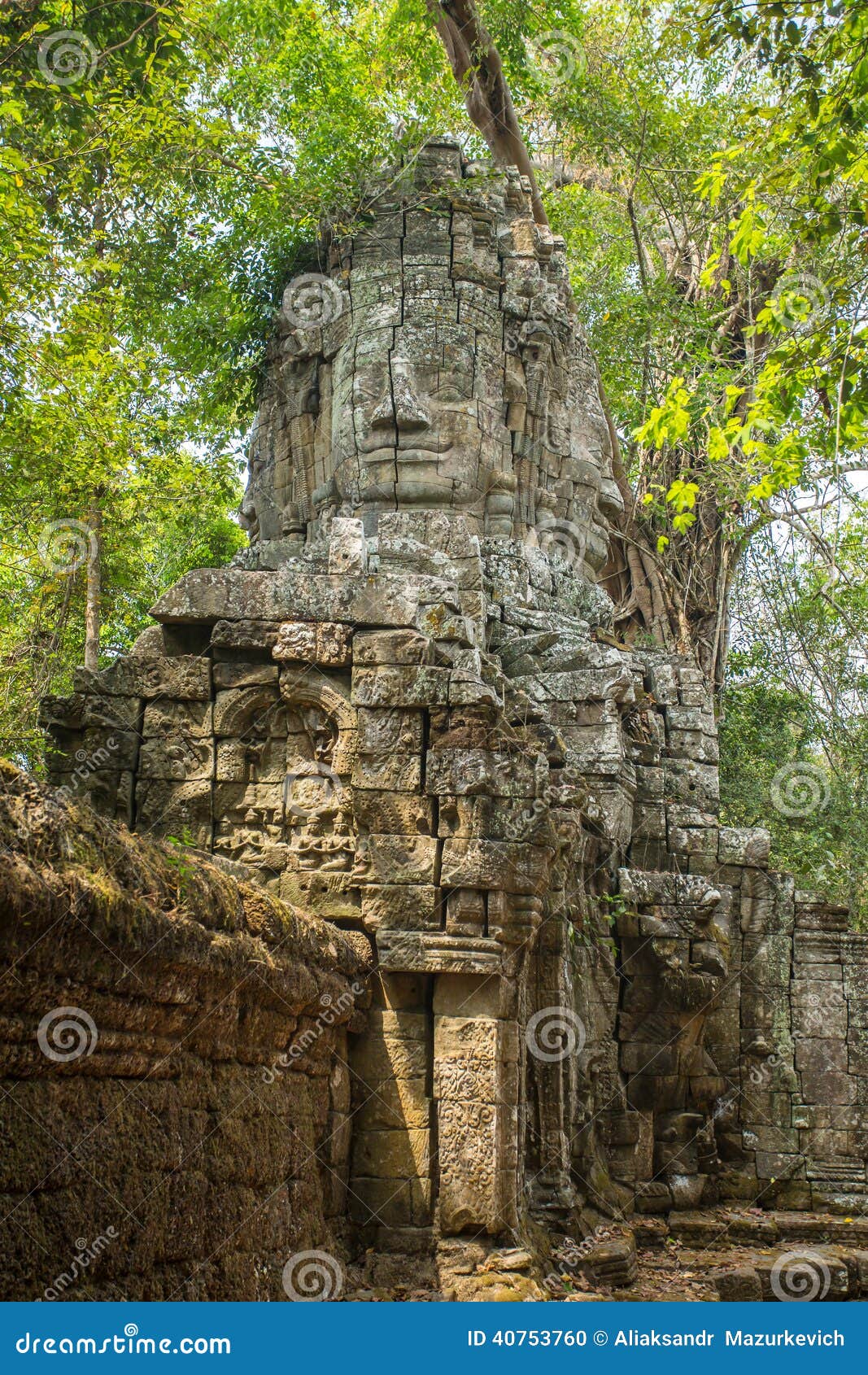 Gates by the Ancient Ta Prohm Temple at Angkor Wat Stock Photo - Image ...