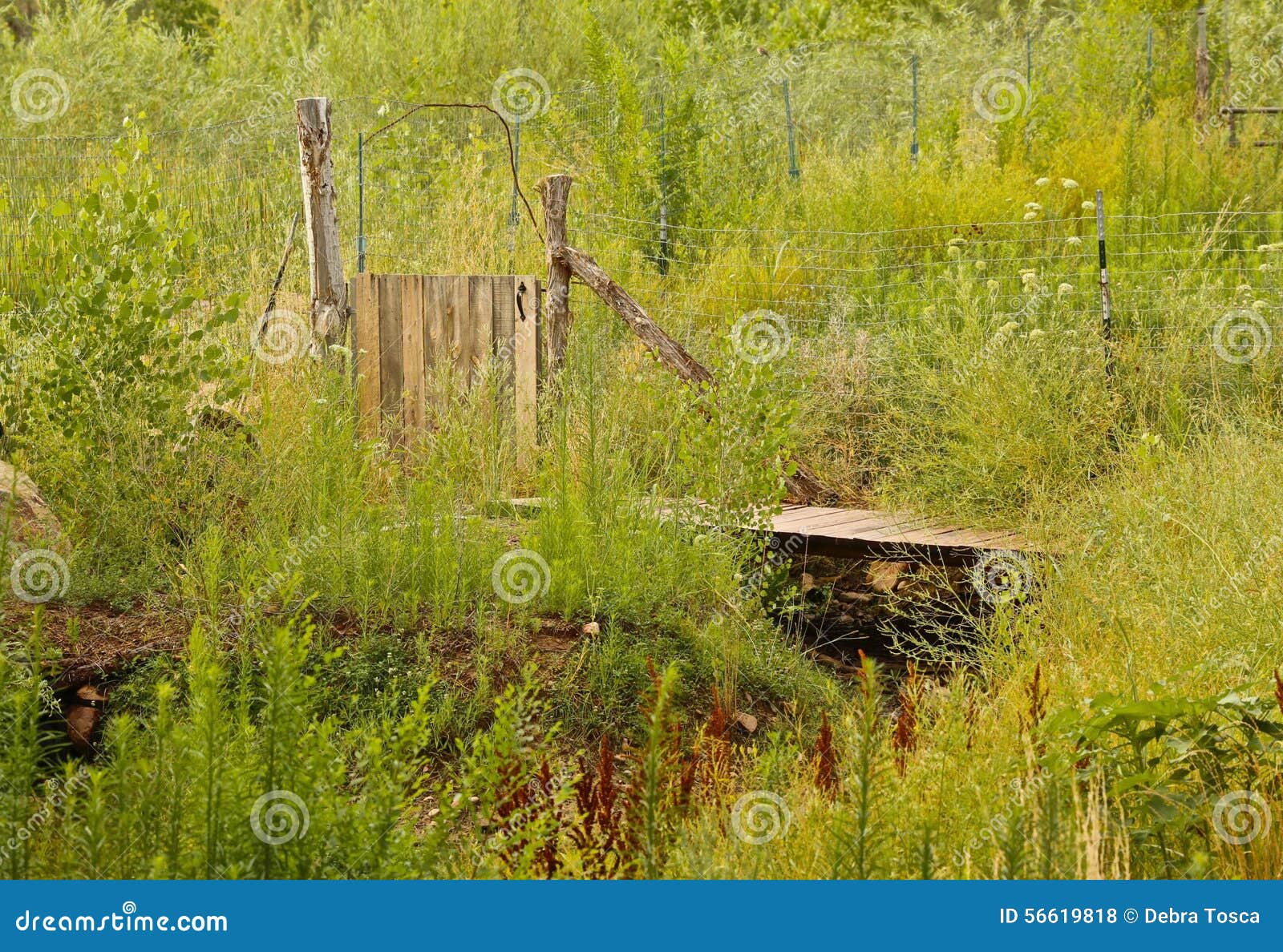 Gates meadow stock photo. Image of wood, wire, protection - 56619818
