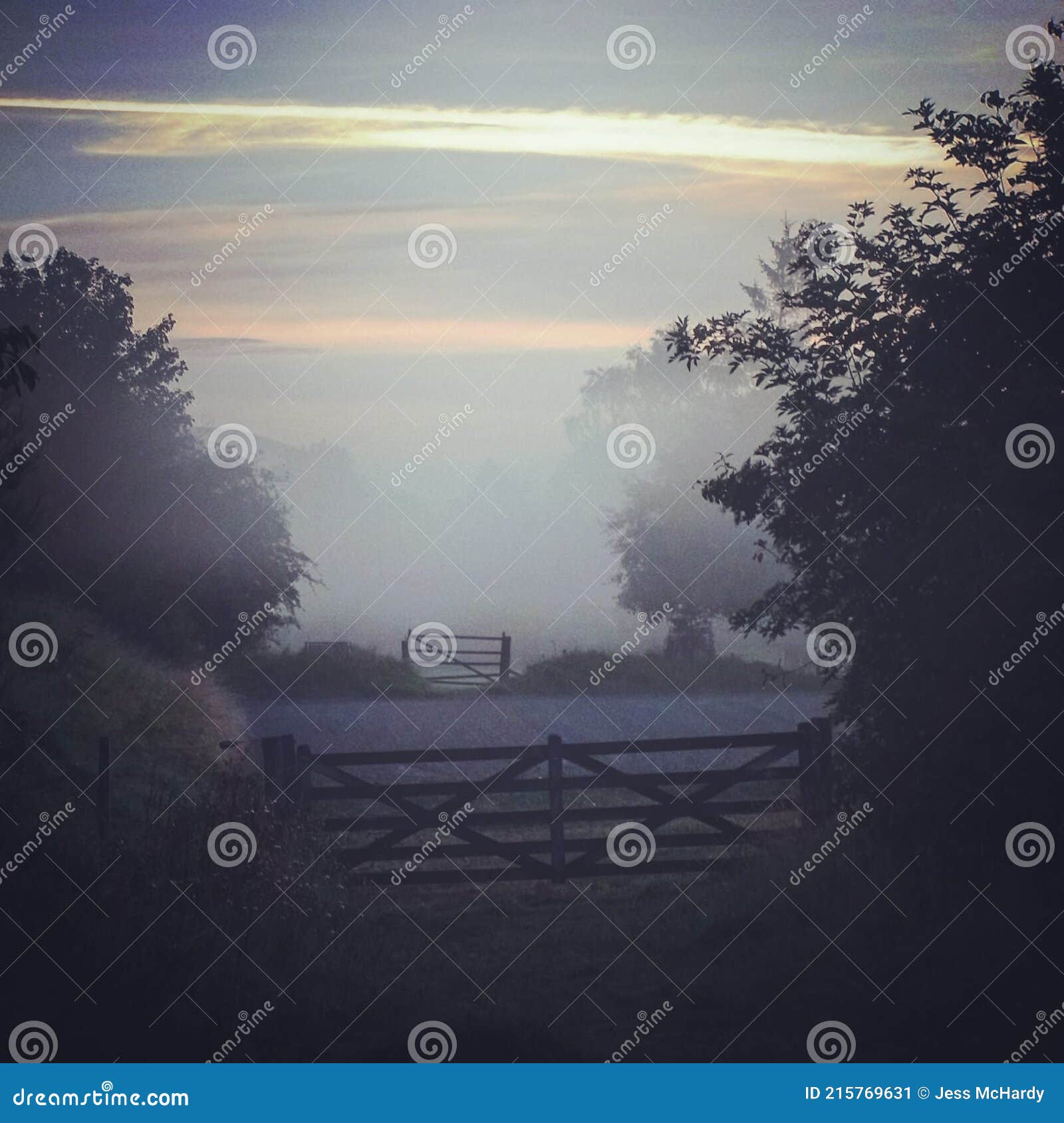 Gates through the mist stock image. Image of dusk, painting - 215769631