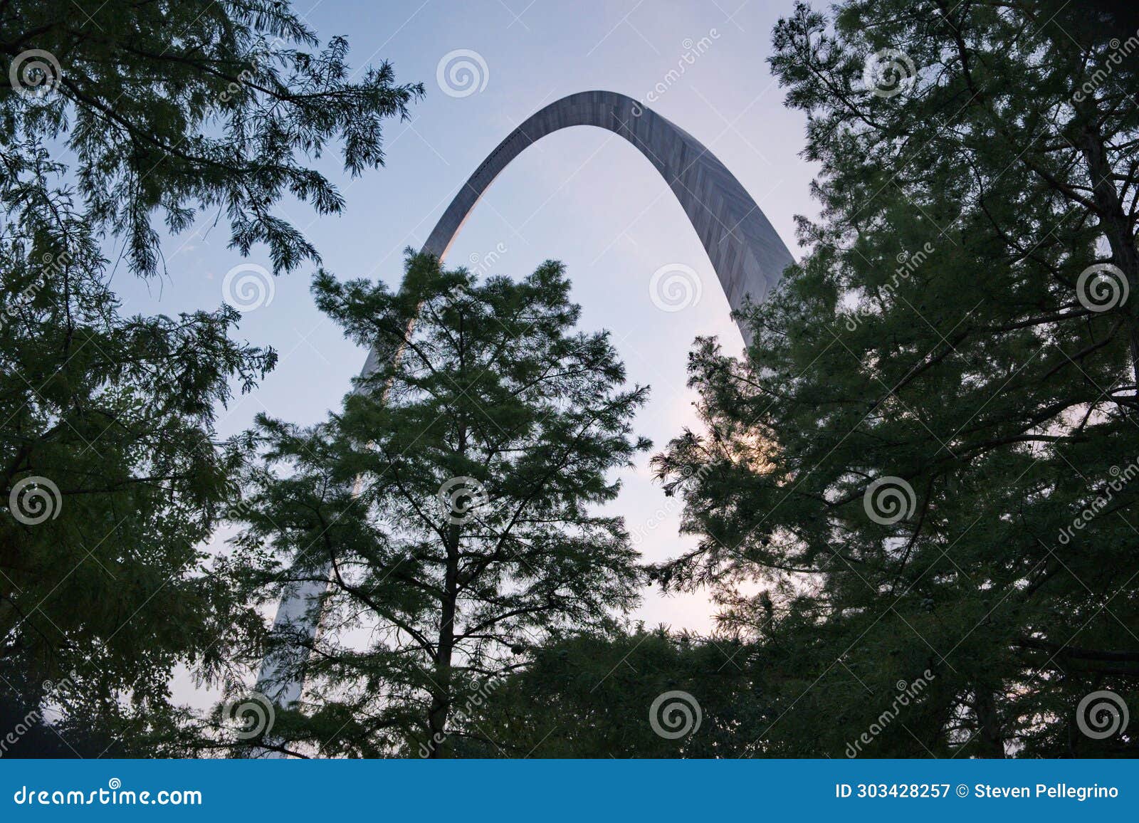 Arch Of Trees Editorial Photo | CartoonDealer.com #182286319