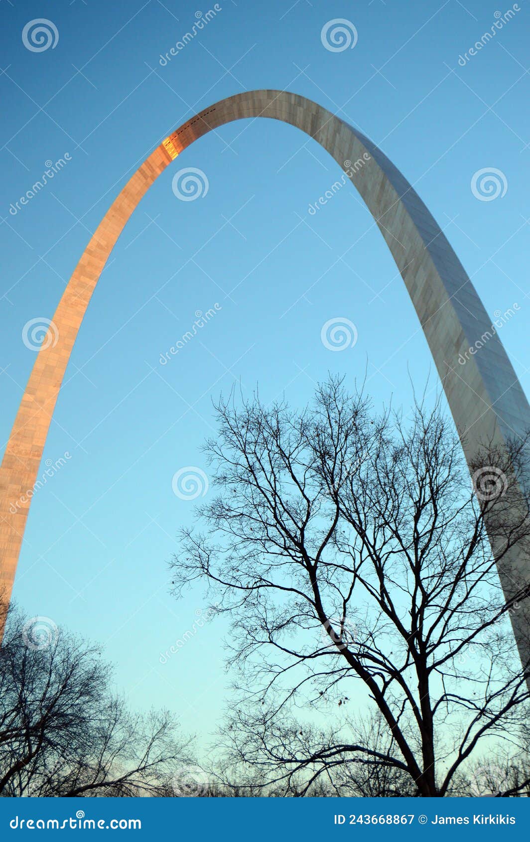 Arch Of Trees Editorial Photo | CartoonDealer.com #182286319