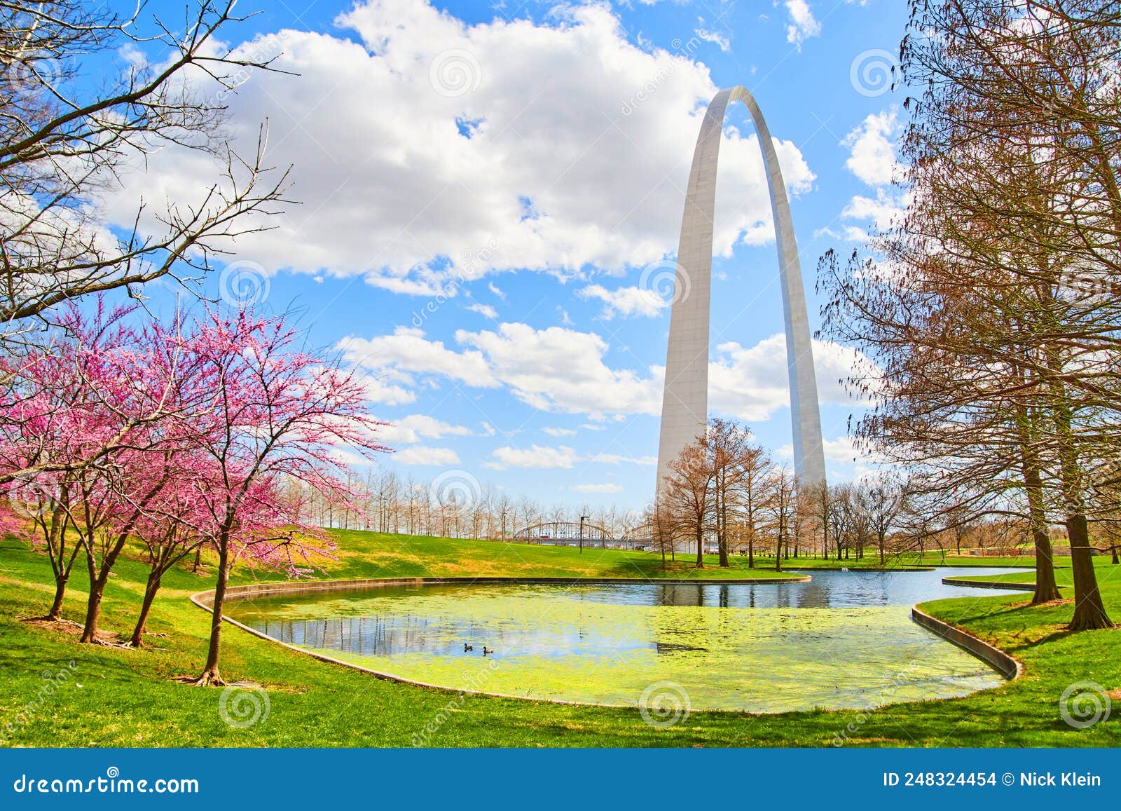 Gateway Arch in St. Louis by Lake Lined with Cherry Trees in Early ...