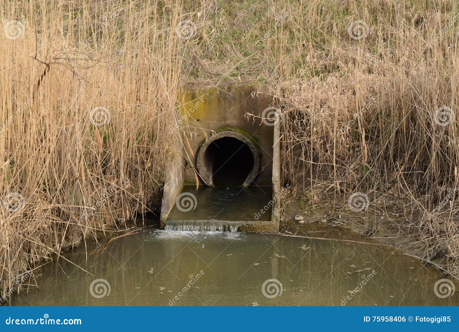 Gateway between the Channels of the Irrigation System of Rice Fields ...