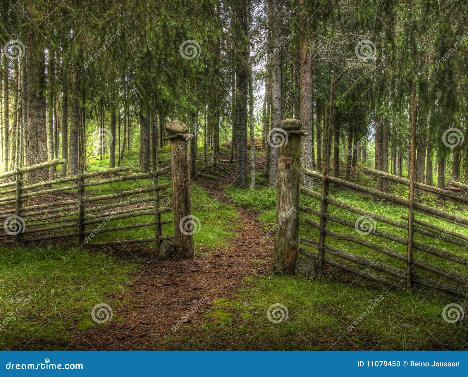 Gateway on forest path stock photo. Image of gatepost - 11079450